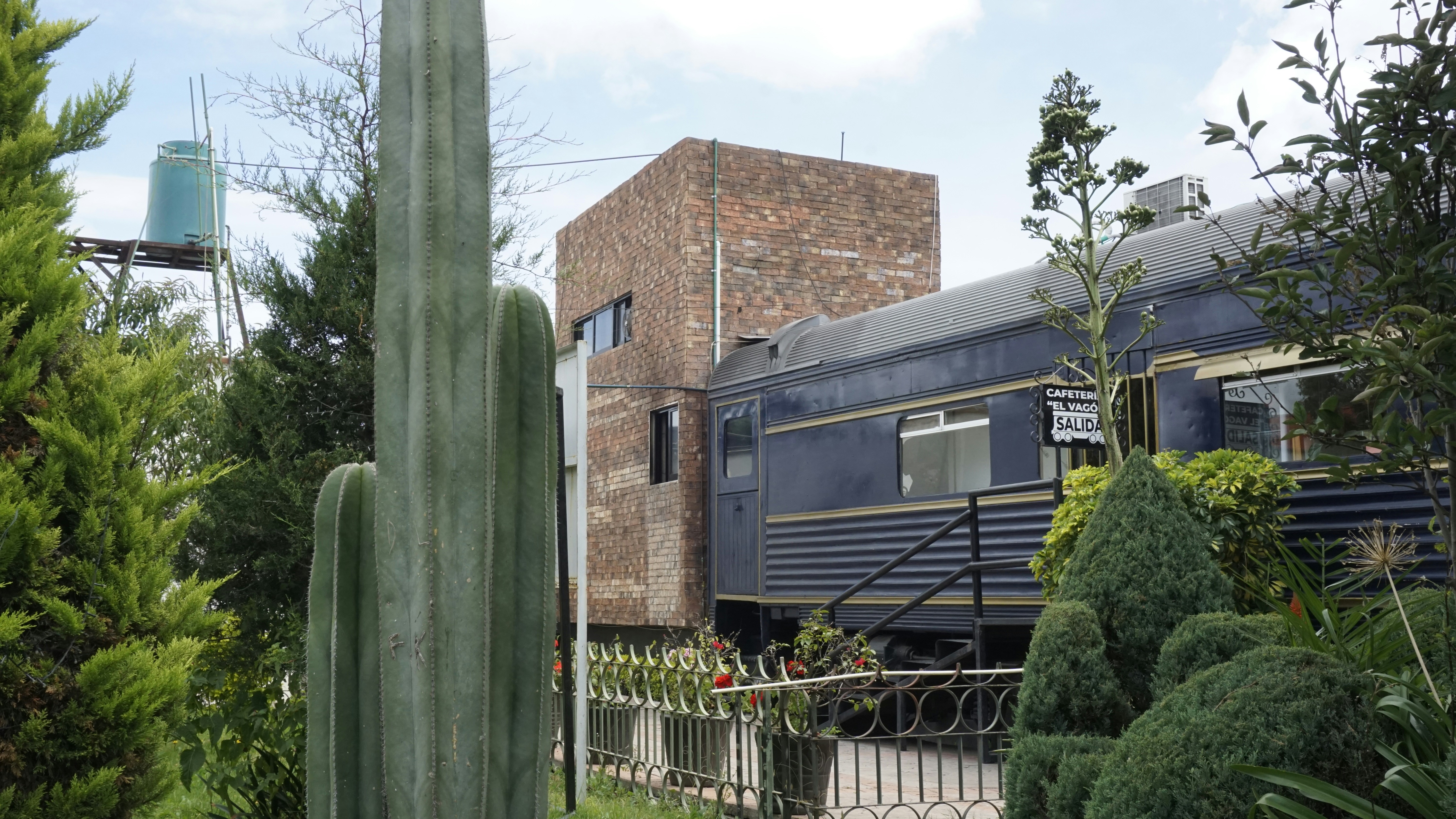 Photo by Erick Angeles with Sony Alpha 5100