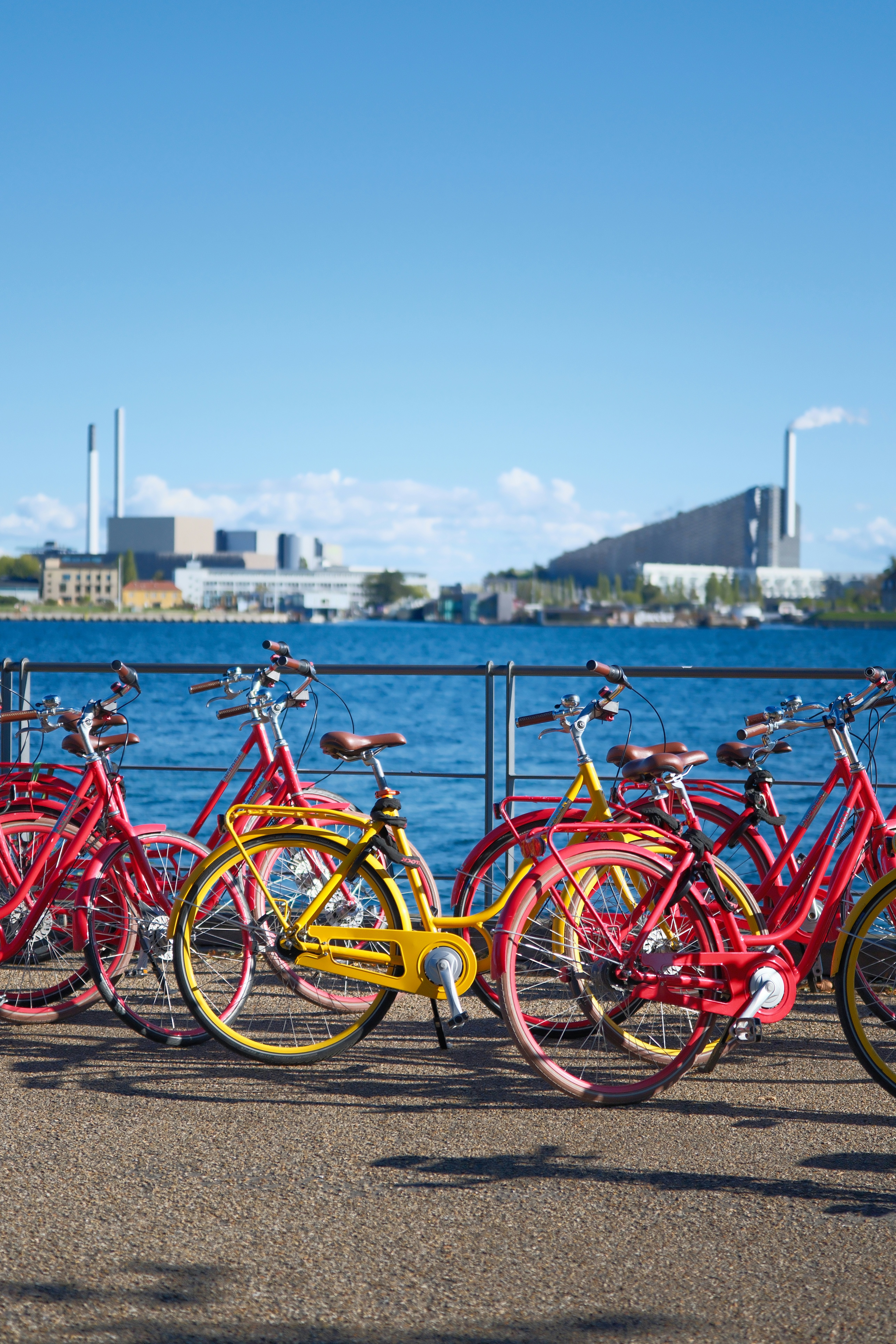 Row of Colorful Bicycles by the Waterfront