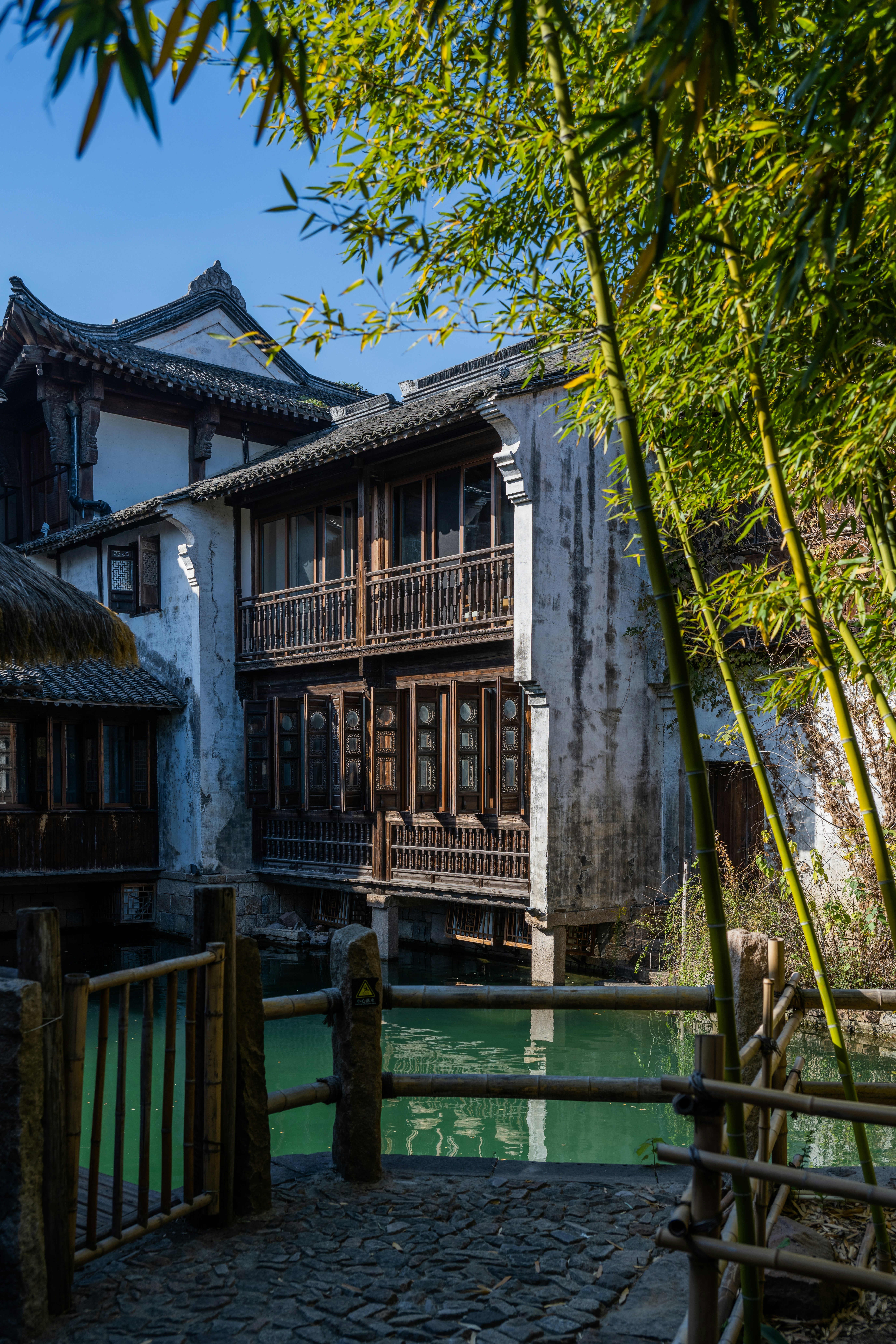 Photo by Young Kane with Nikon Z7 II