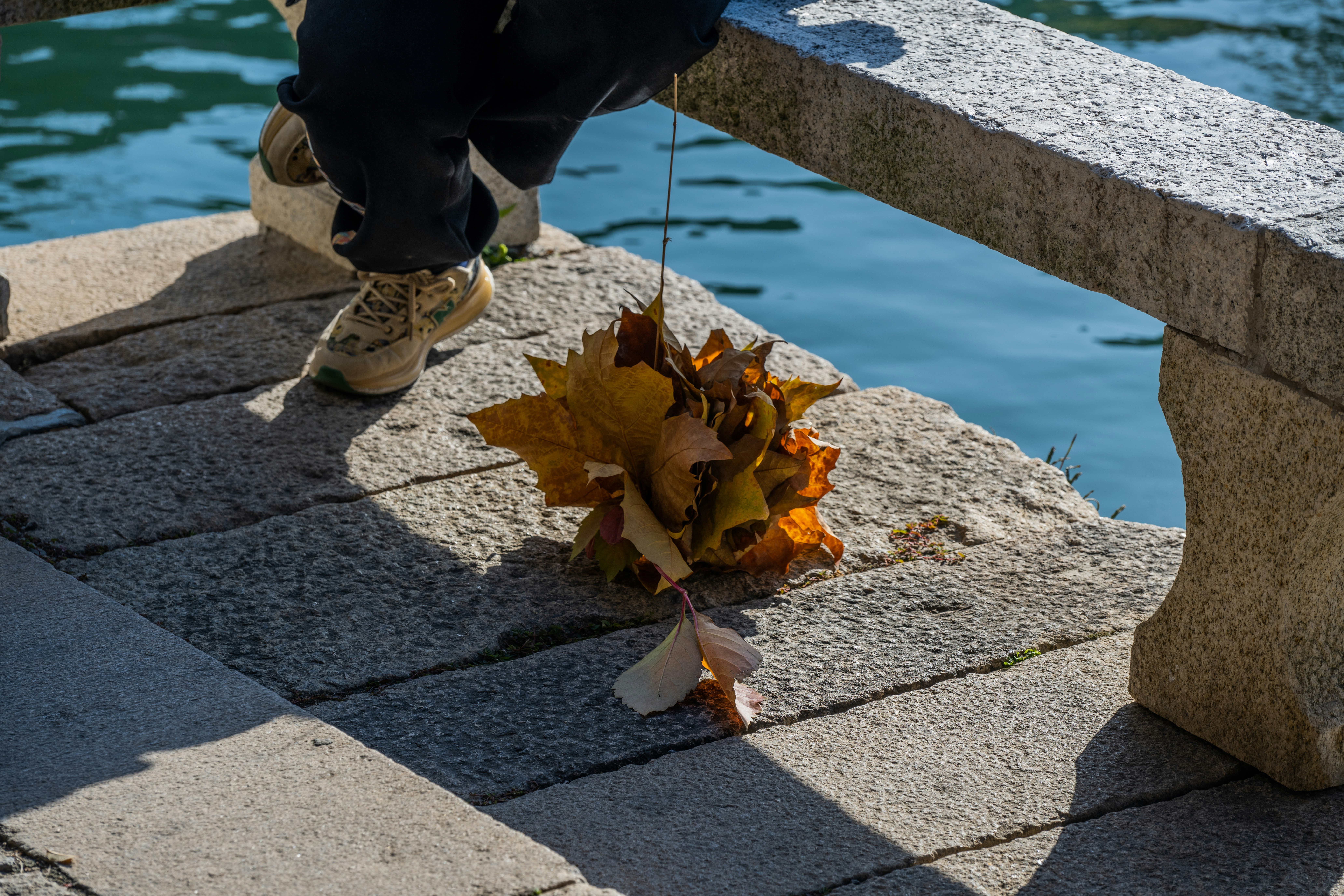 Autumn Leaves at the Edge: A Quiet Moment on the Stone Dock