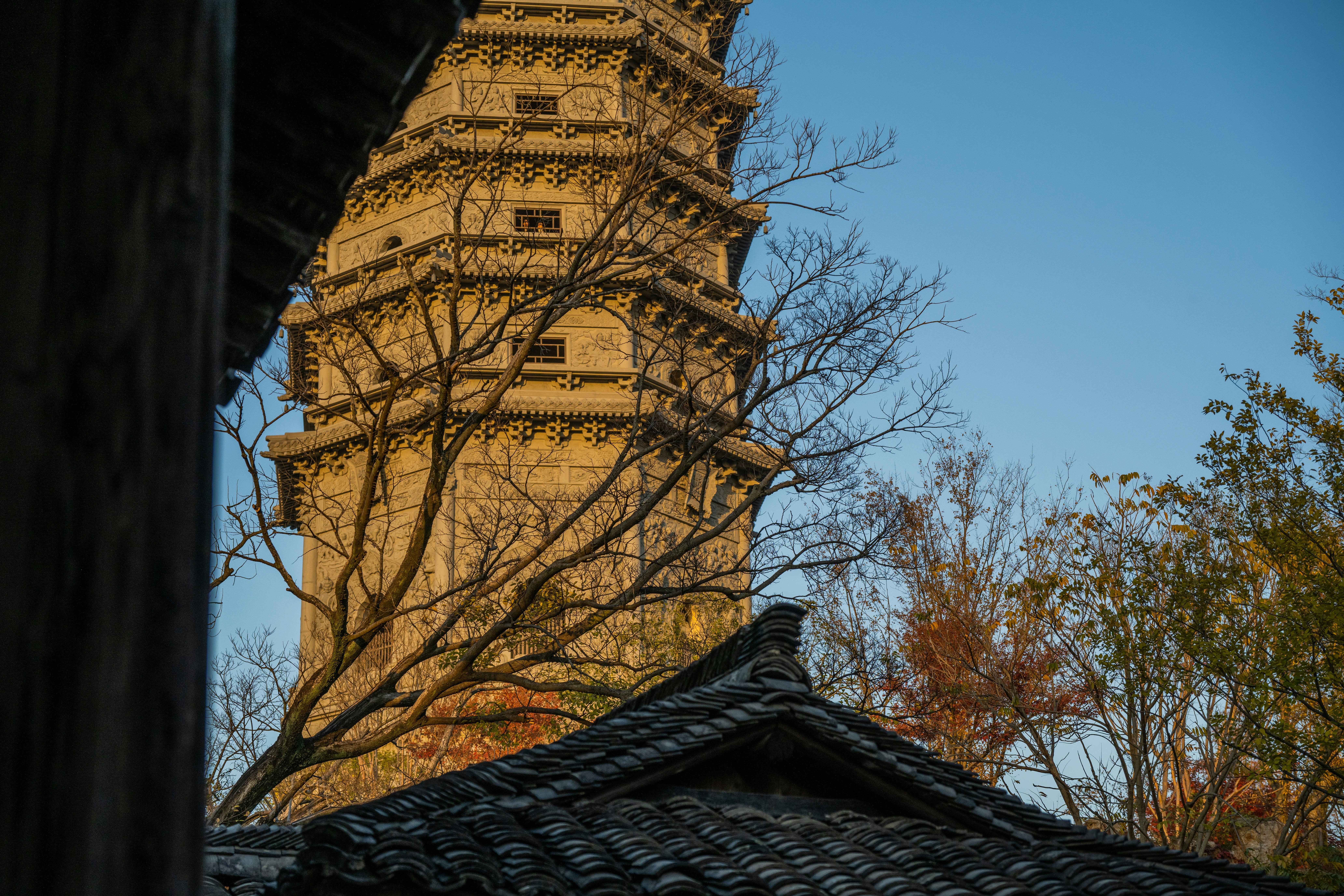 Pagoda Framed by Tiled Roofs and Winter Branches