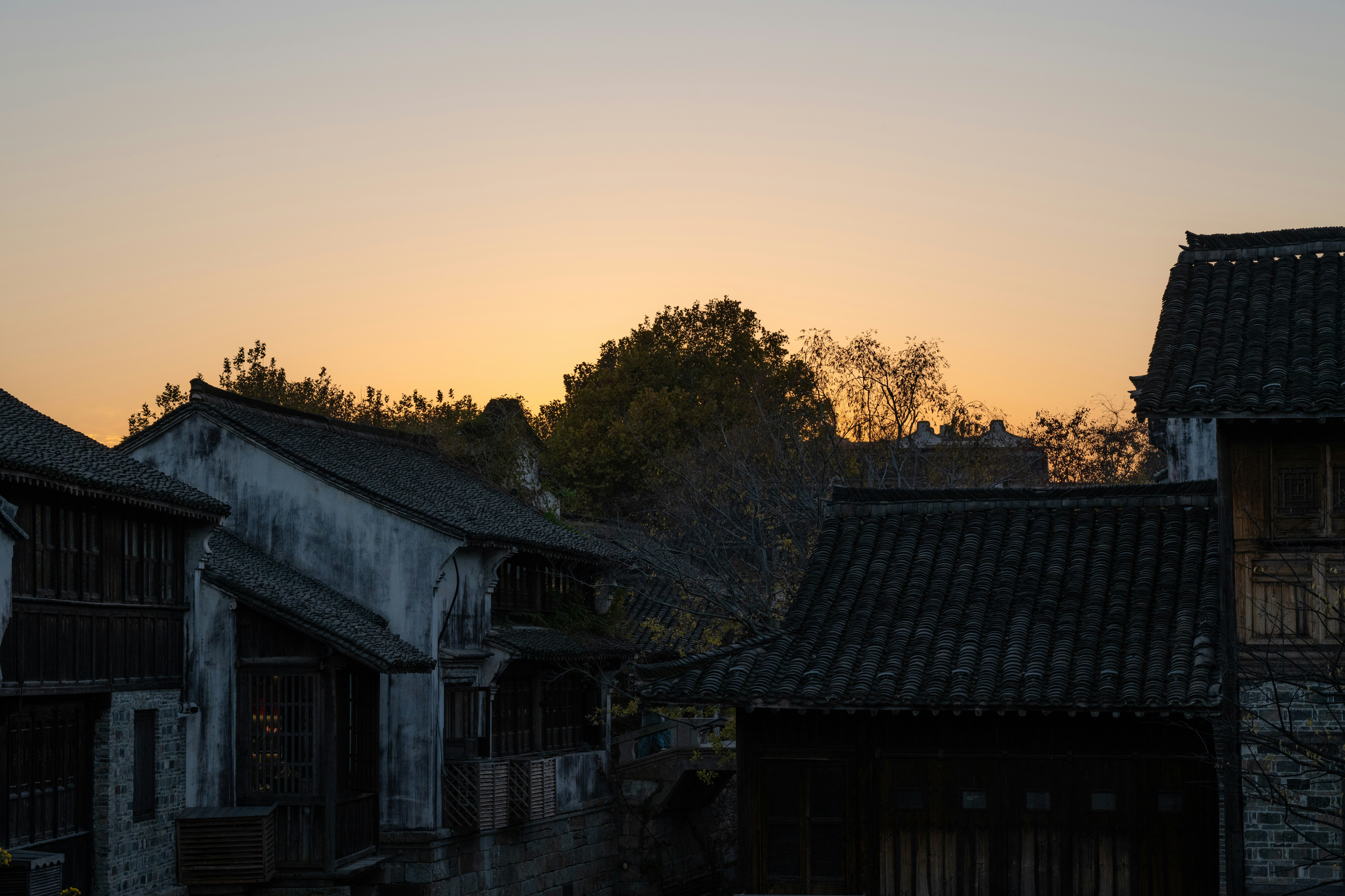 Photo by Young Kane with Nikon Z7 II