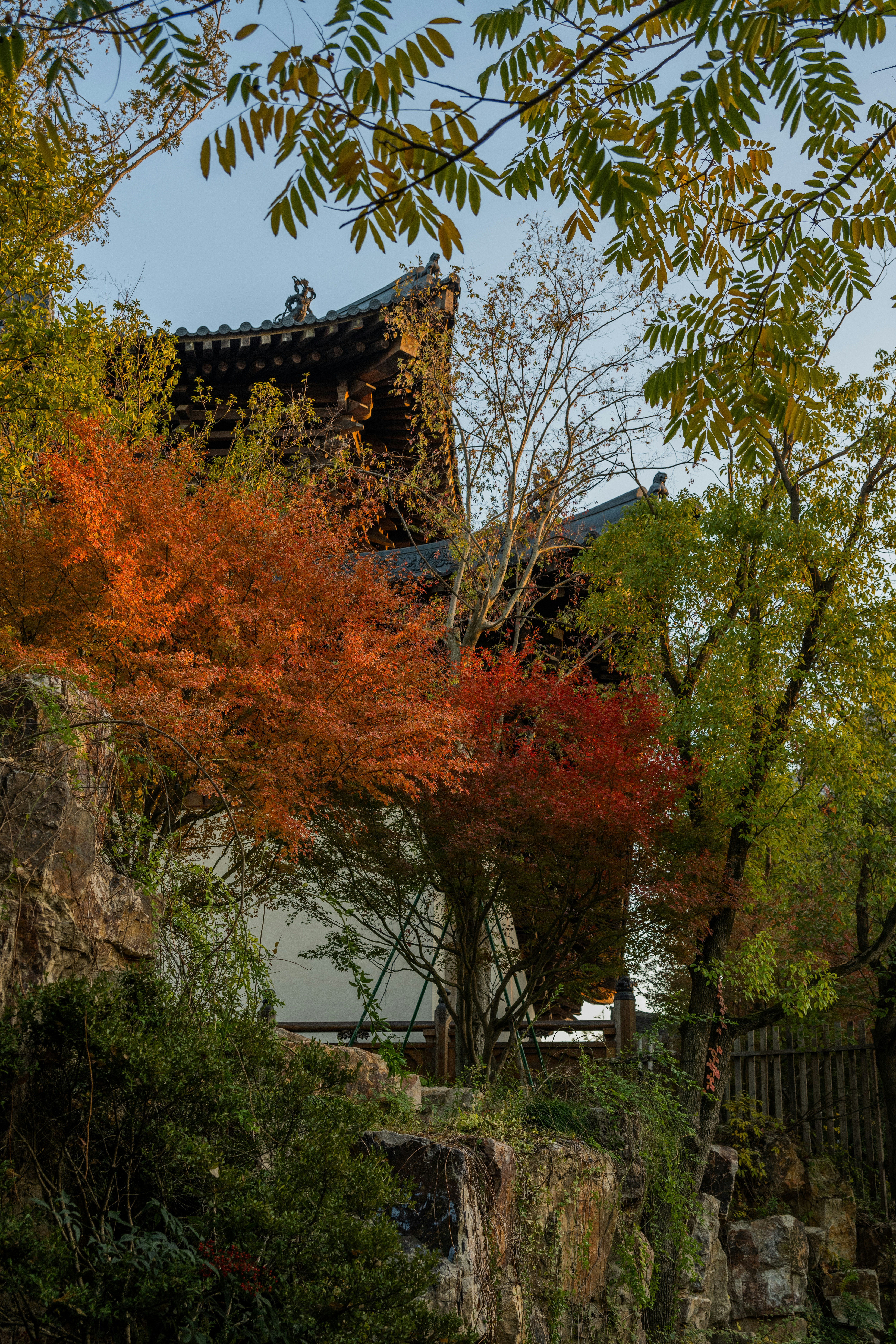 Photo by Young Kane with Nikon Z7 II