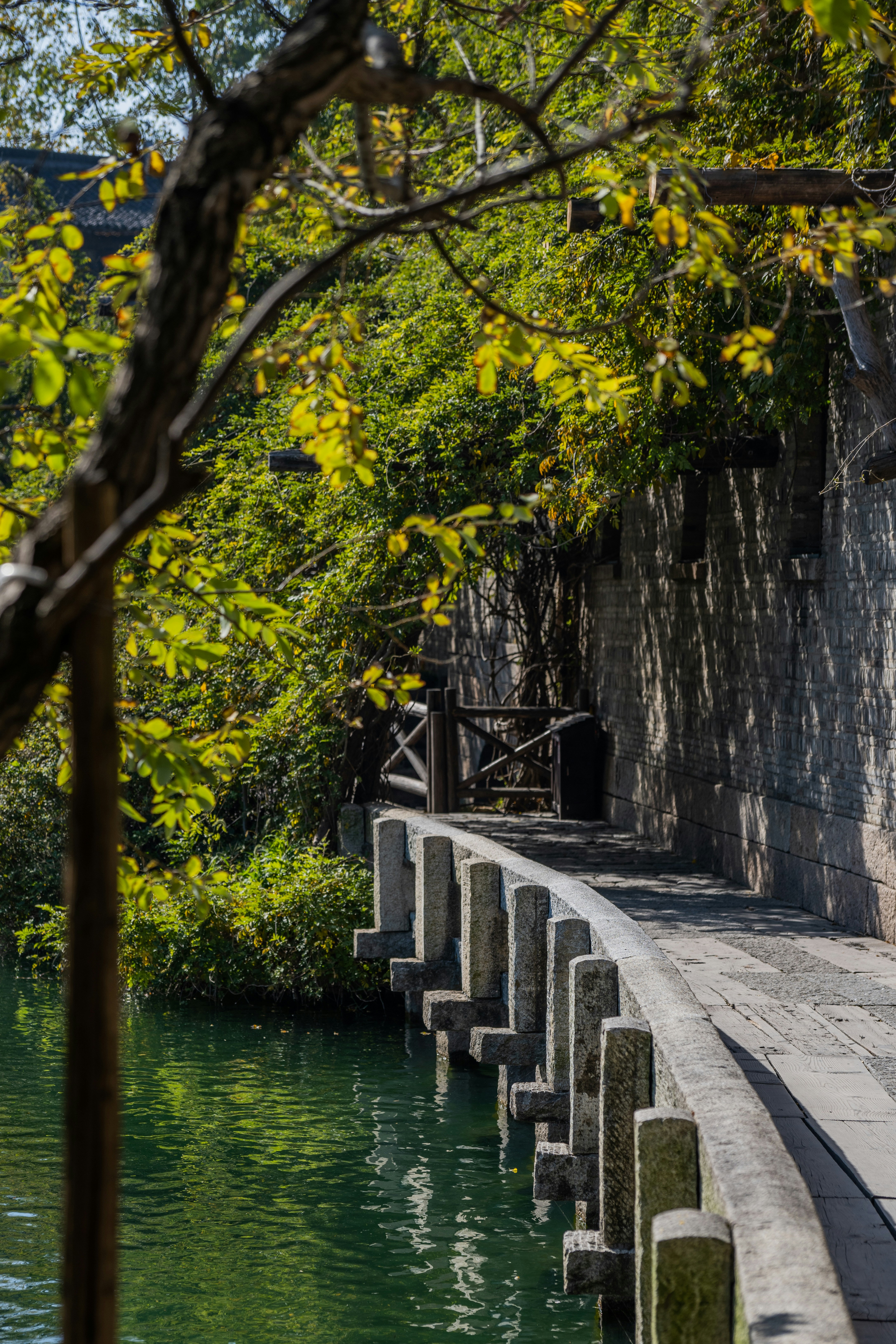 Quiet riverside walkway winding beside green-tled water