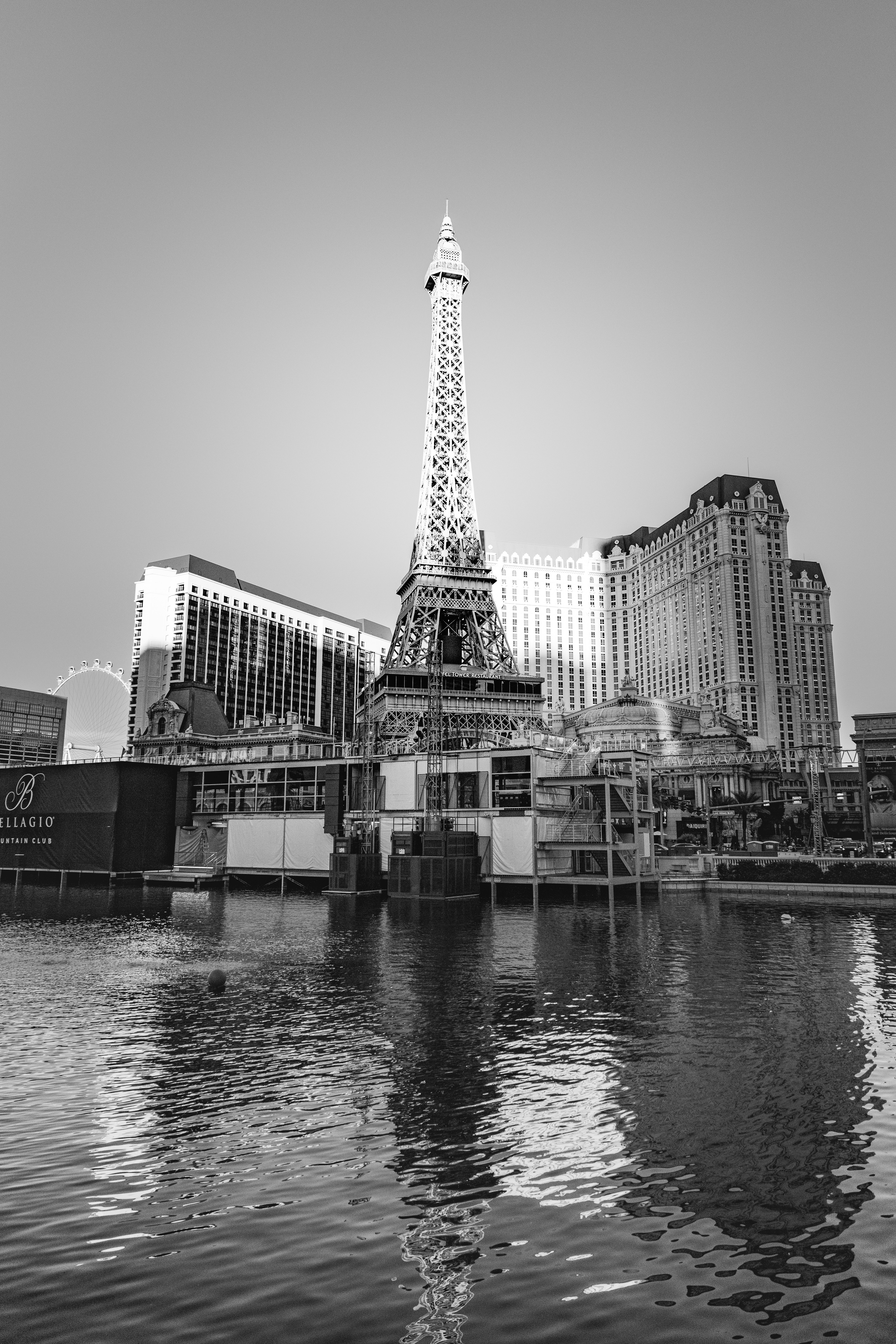 Photo by Zachary Moneypenny with Canon EOS R