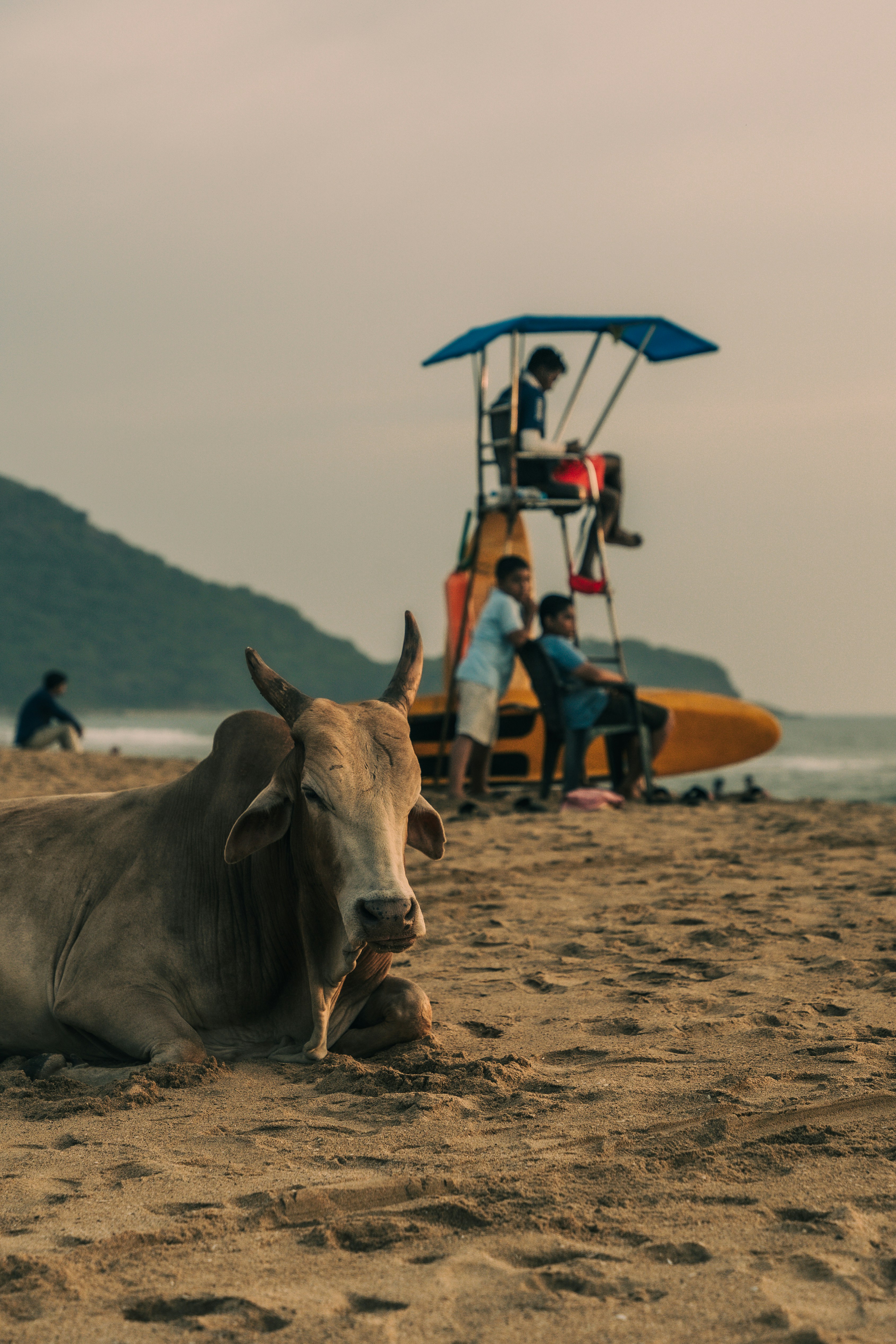 Photo by Katarzyna Zygnerska with Sony Alpha 7 III