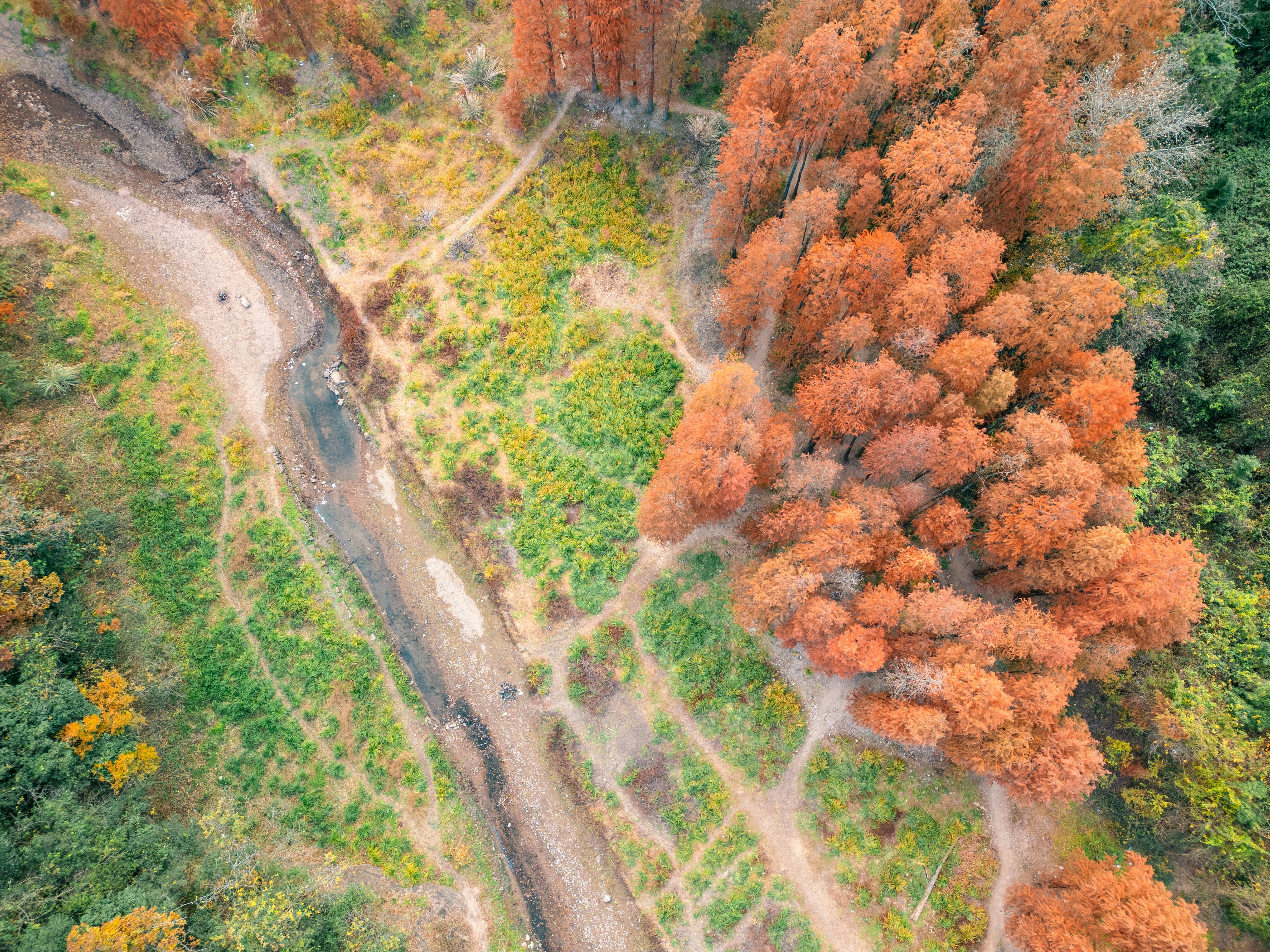 Photo by Xiong Mingiie with DJI Mini 3 Pro