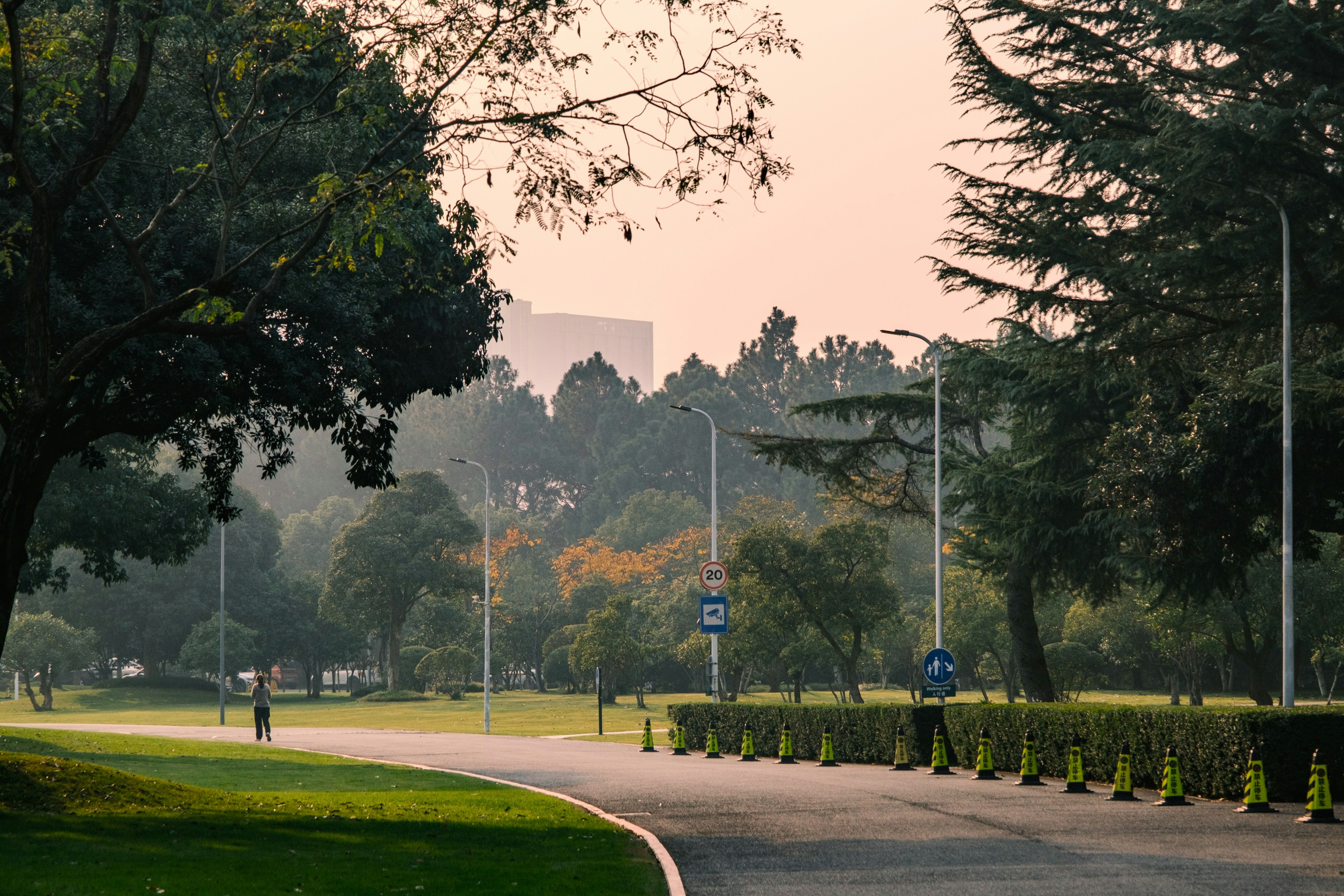 A park path with trees and a distant building. photo – Free Image on ...