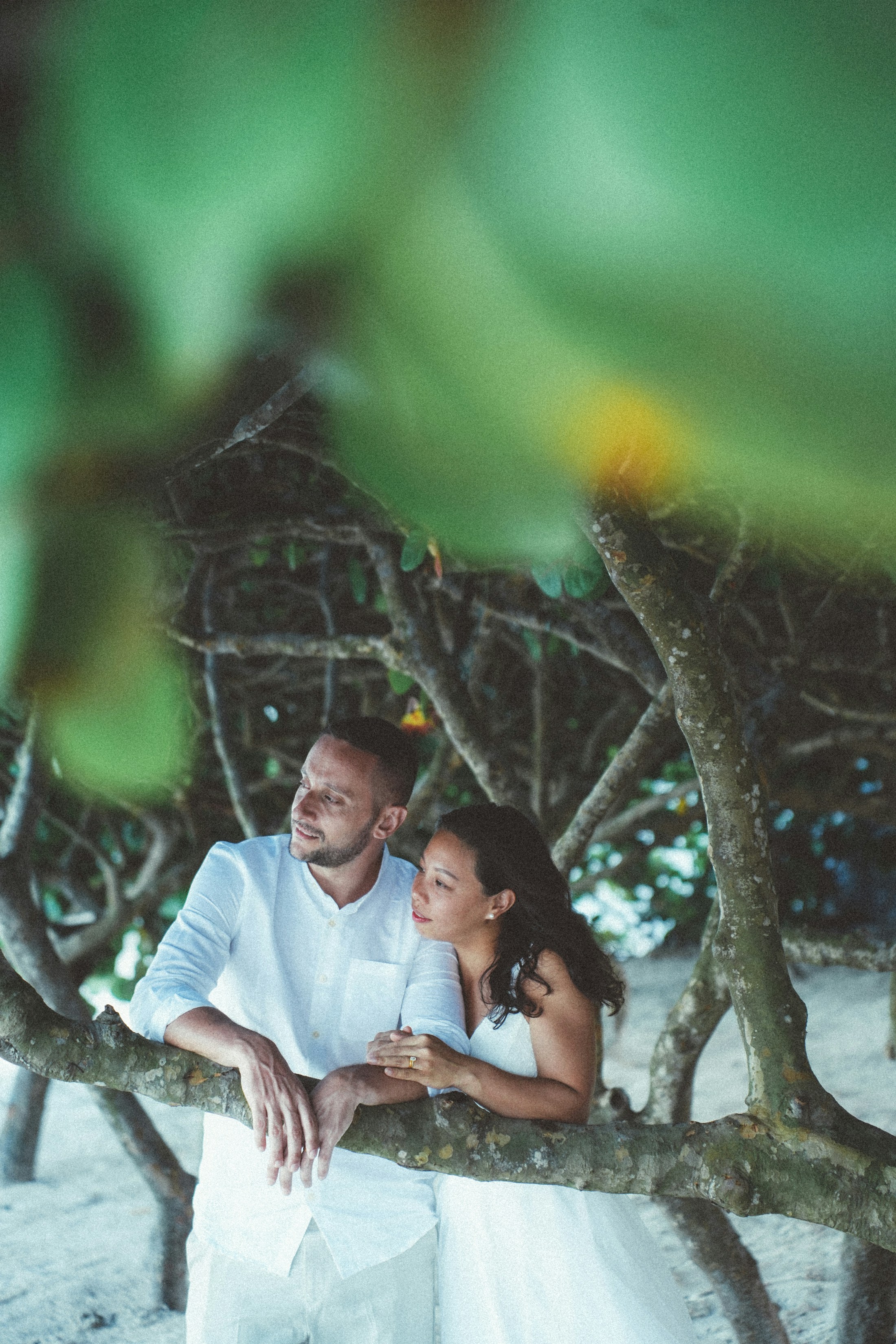 Couple posing under a tree with lush green leaves. photo – Free Beach ...