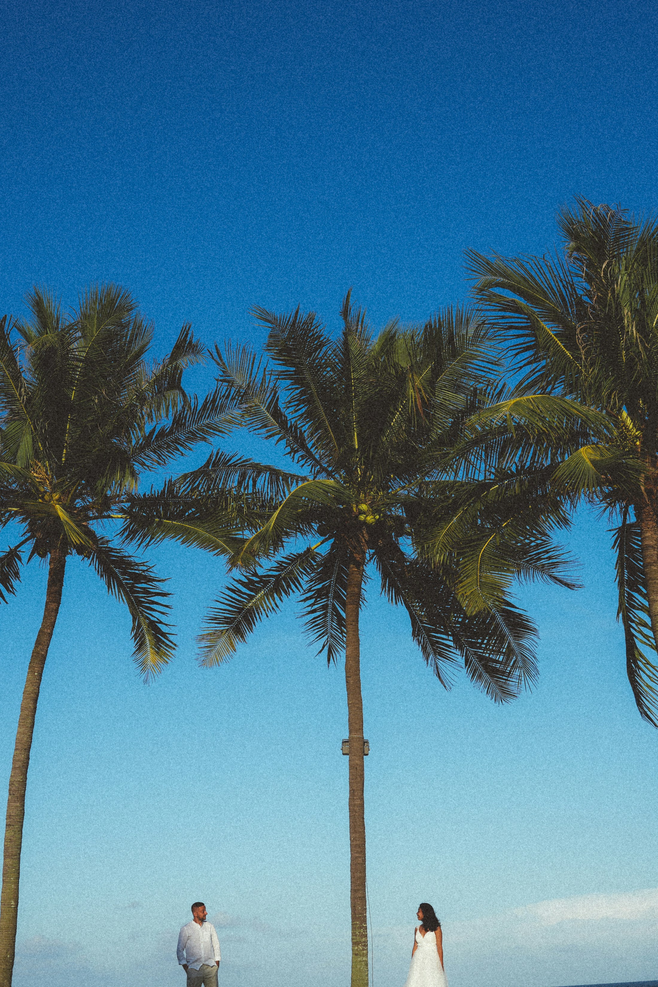 Two silhouettes under a palm canopy against a tropical sky