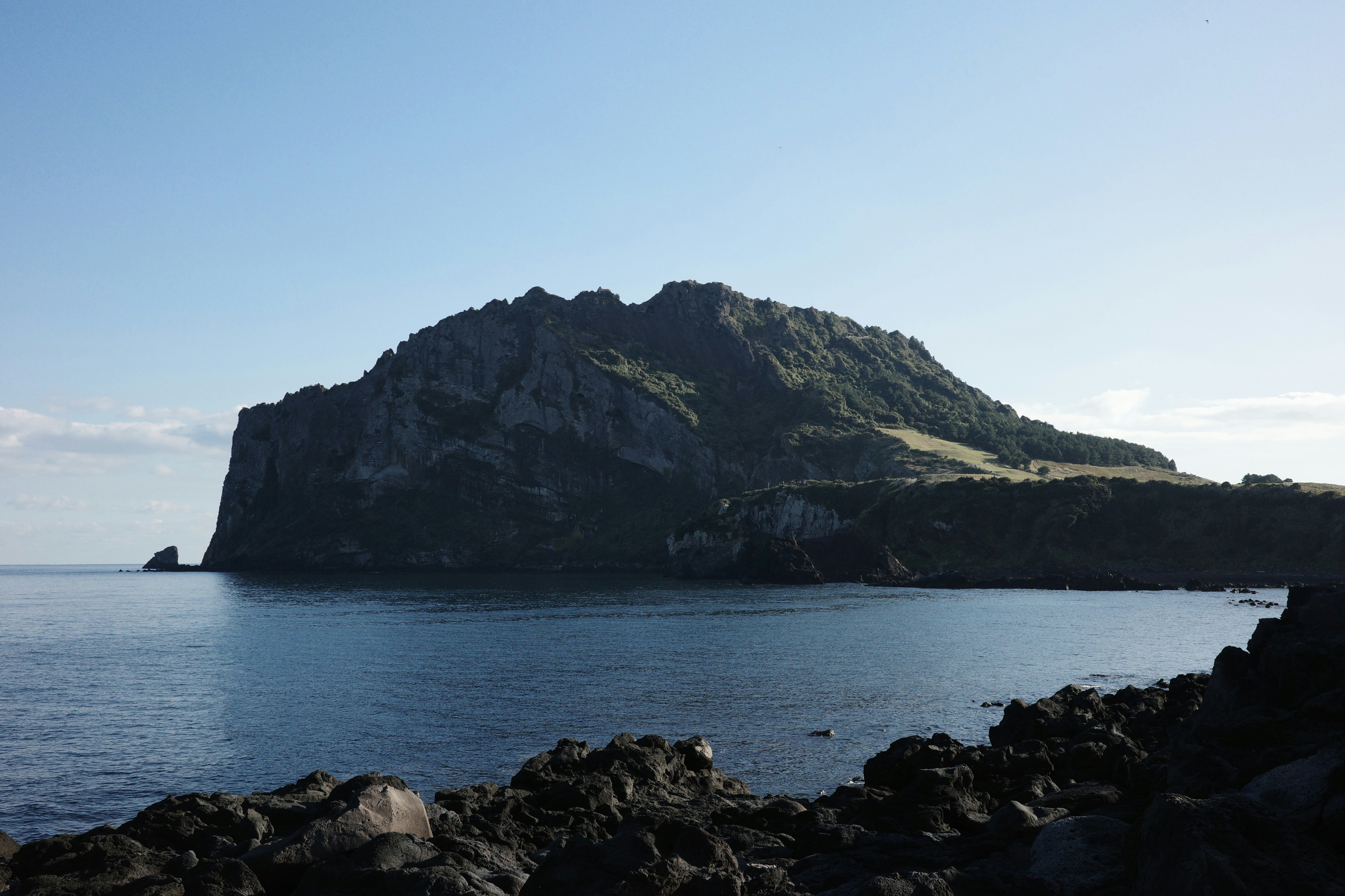 Coastal Headland Speckled with Sunlit Grass