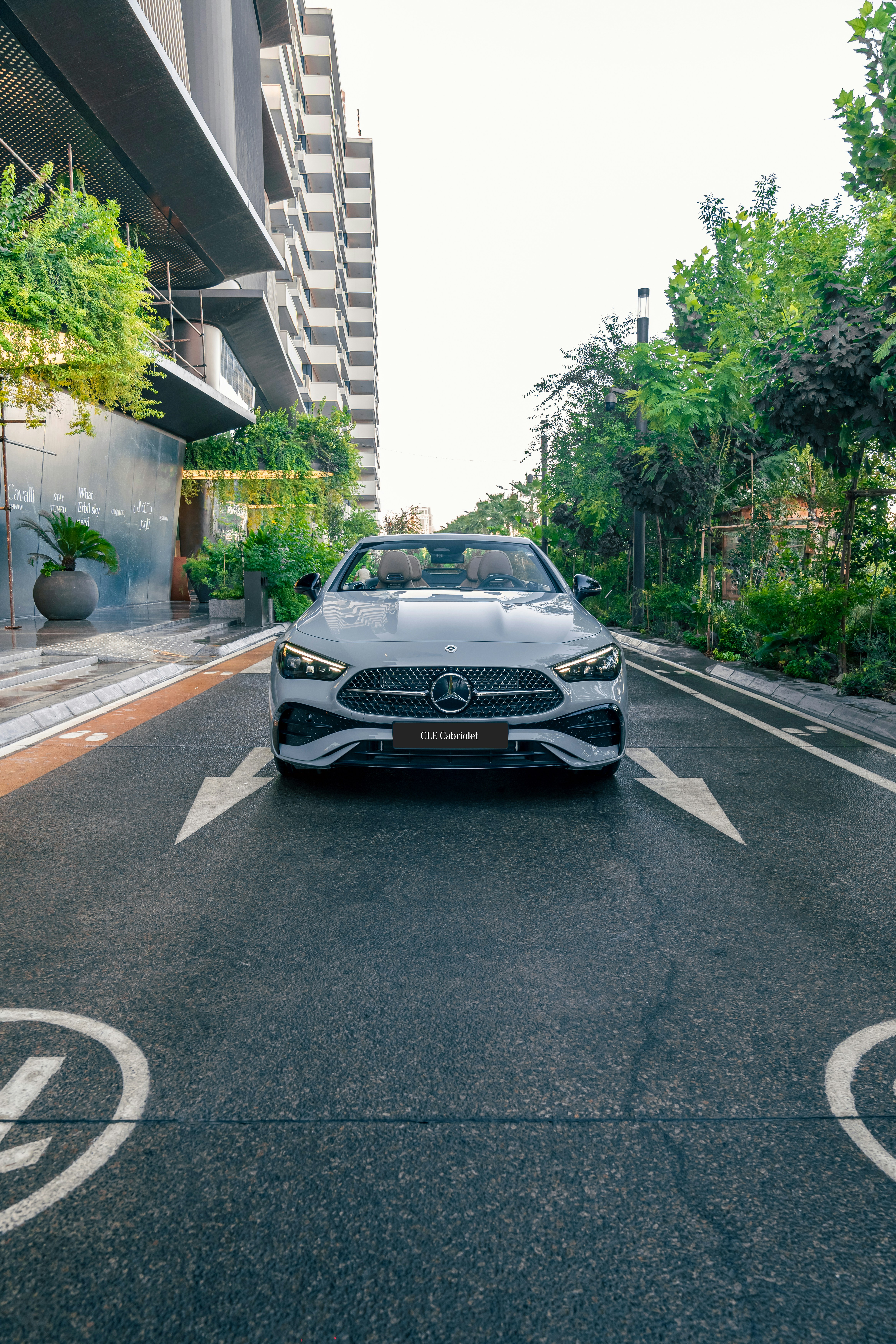 A light gray mercedes-benz car parked on a street. photo – Free Cars ...