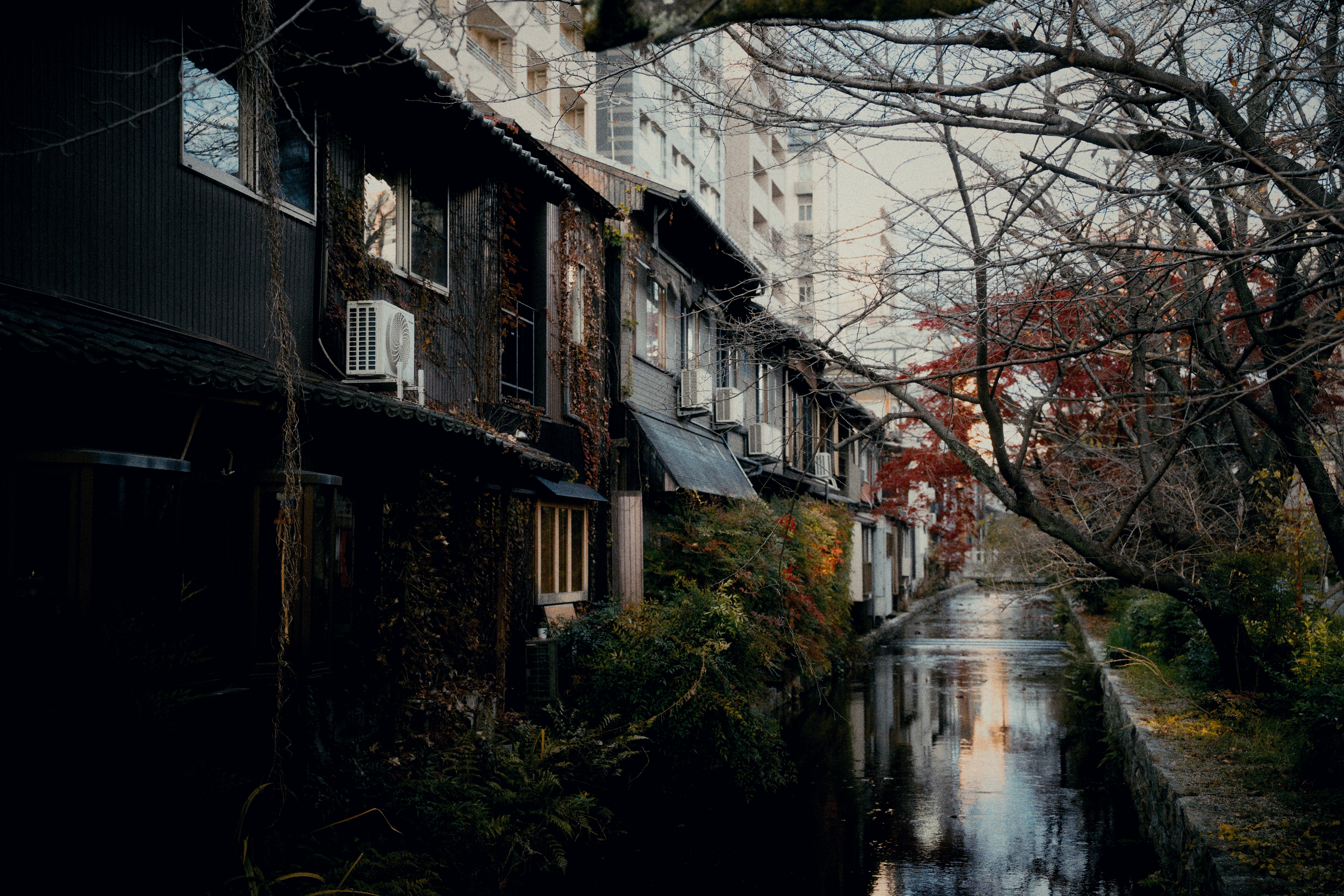 Photo by Flavio Mori with Sony Alpha 7 IV