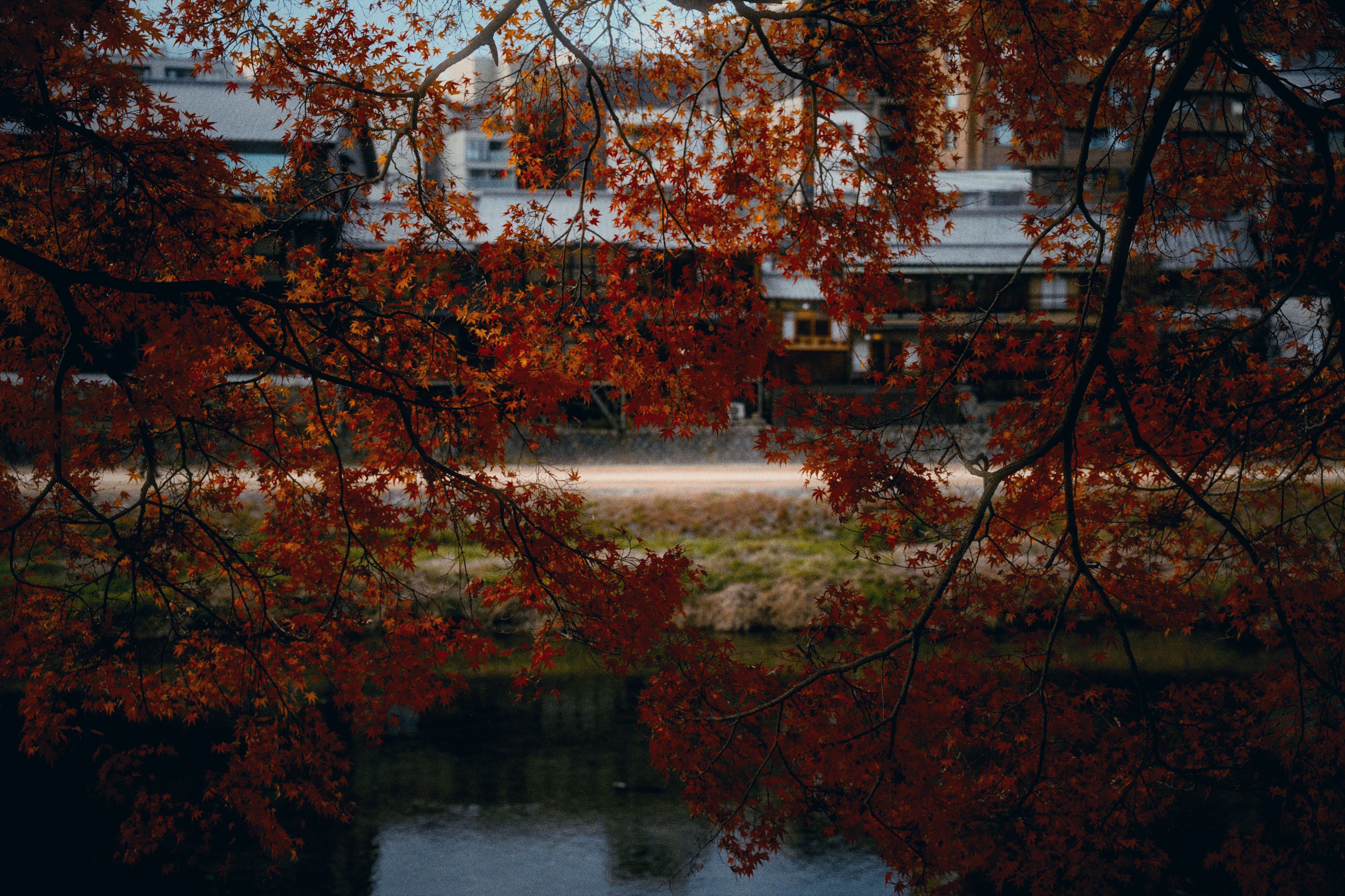 Photo by Flavio Mori with Sony Alpha 7 IV