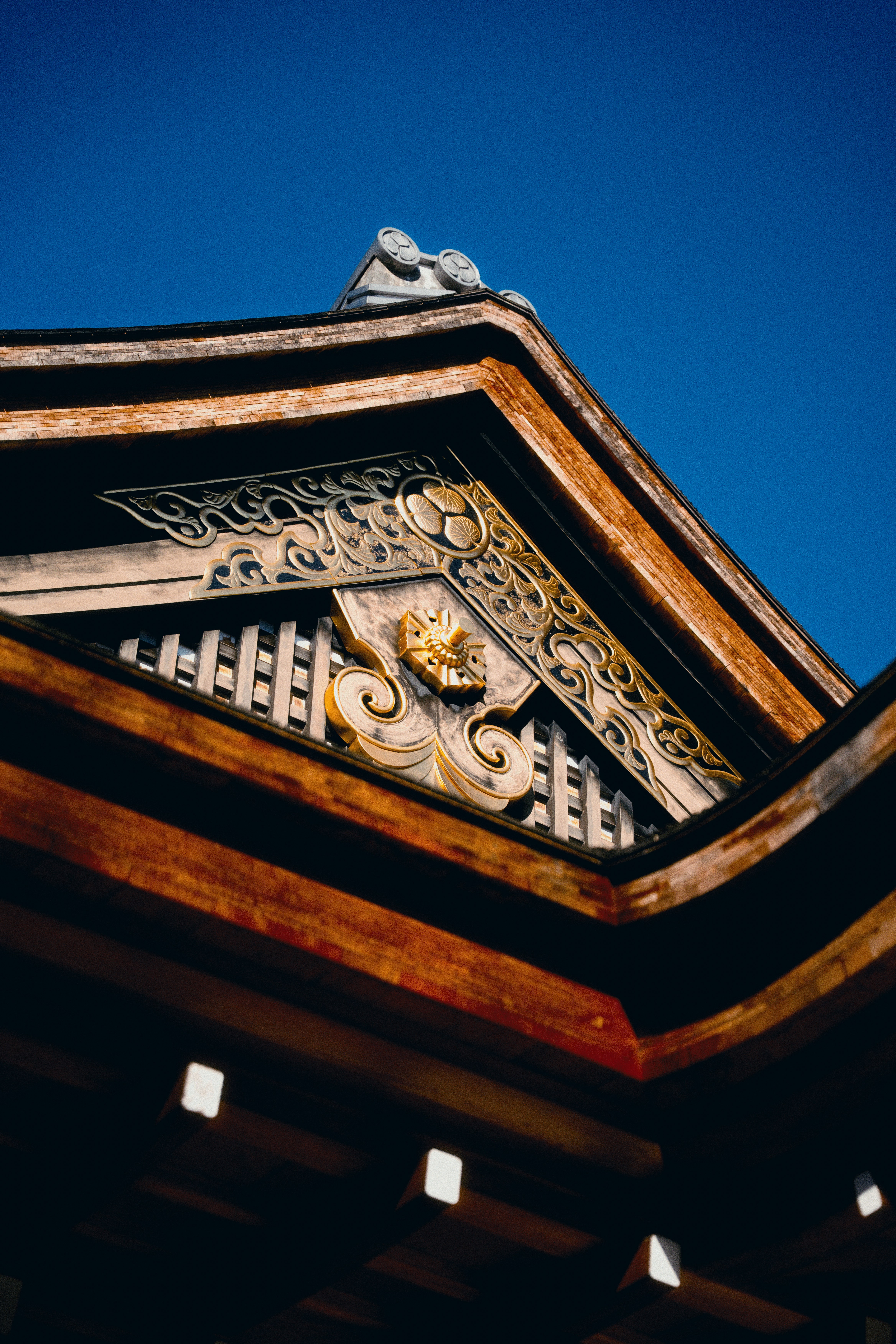 Photo by Flavio Mori with Sony Alpha 7 IV