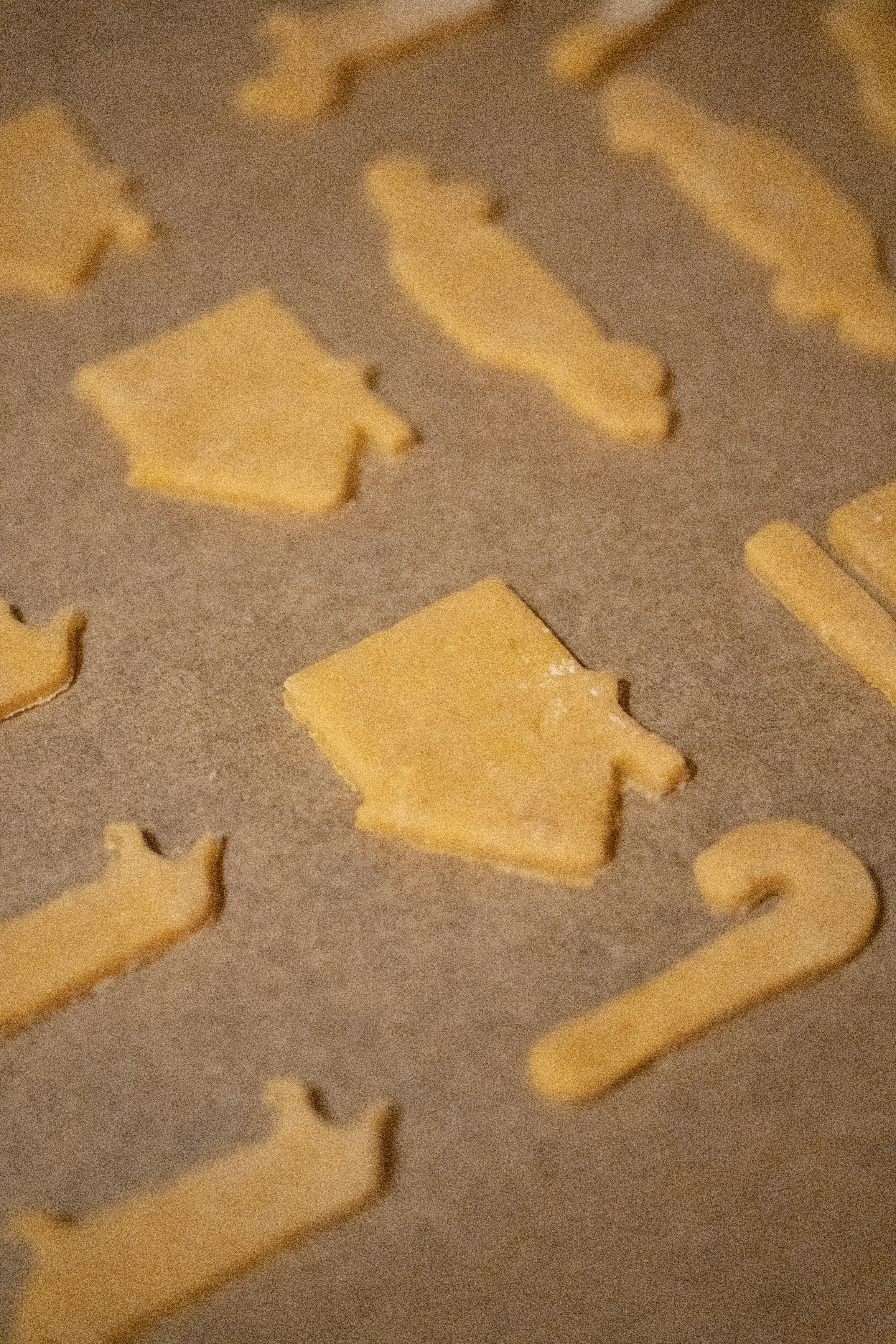 Dough Shapes on a Parchmented Sheet: Tiny Cookies in Soft Ambience