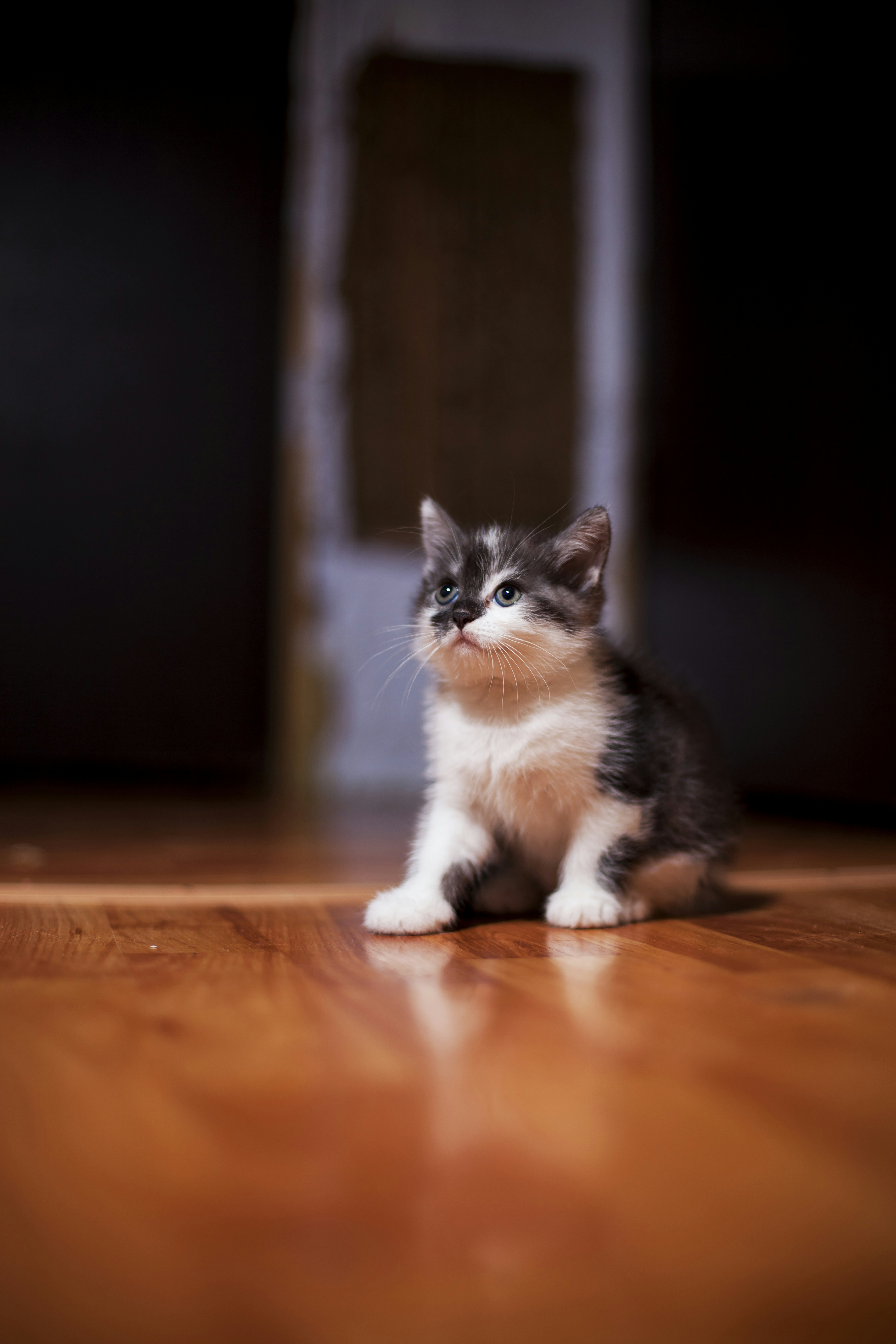 Photo by Sergio Artnoart with Canon EOS 5D Mark II