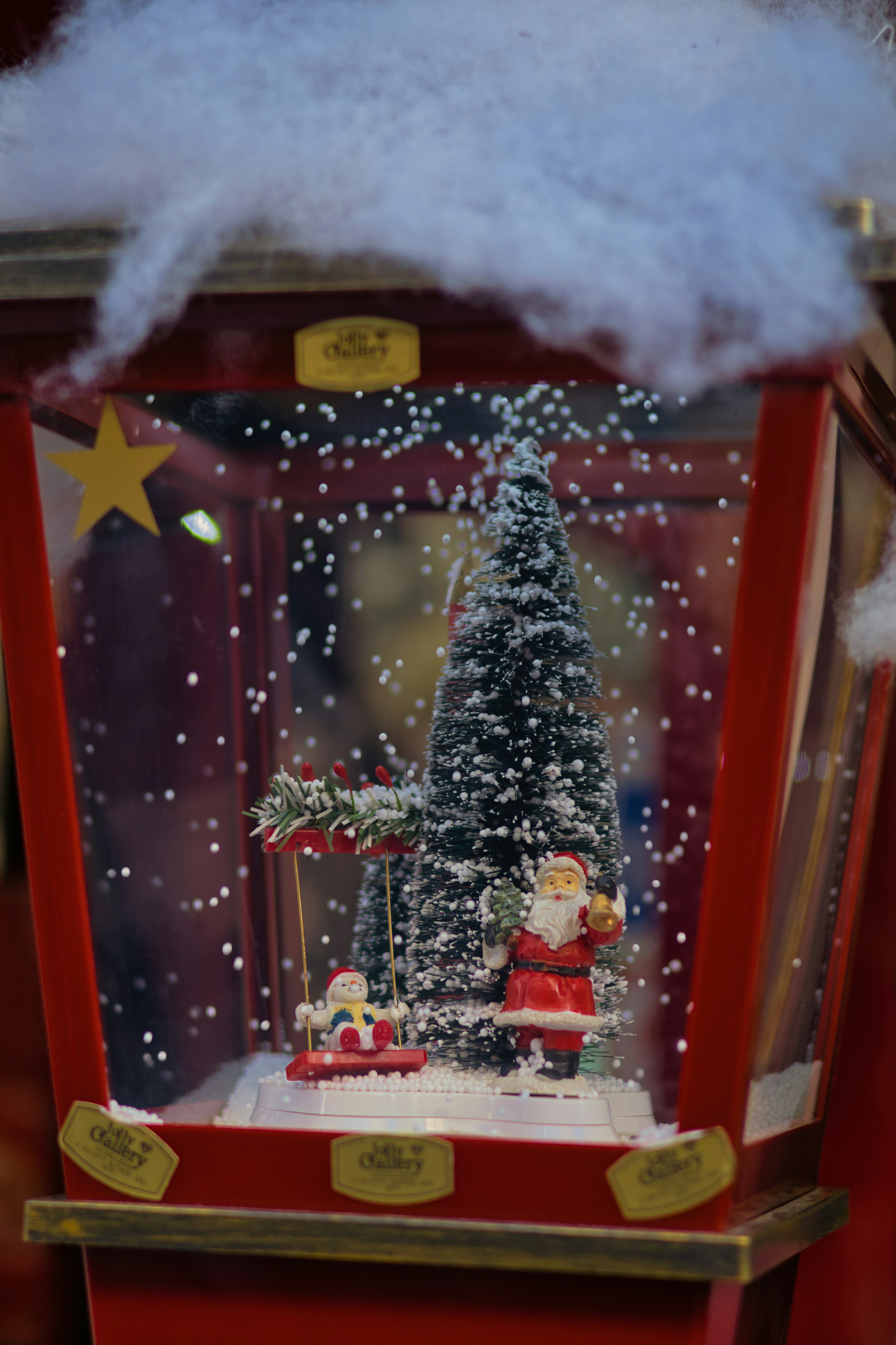 Photo by Razvan Constantinescu with Canon EOS R50