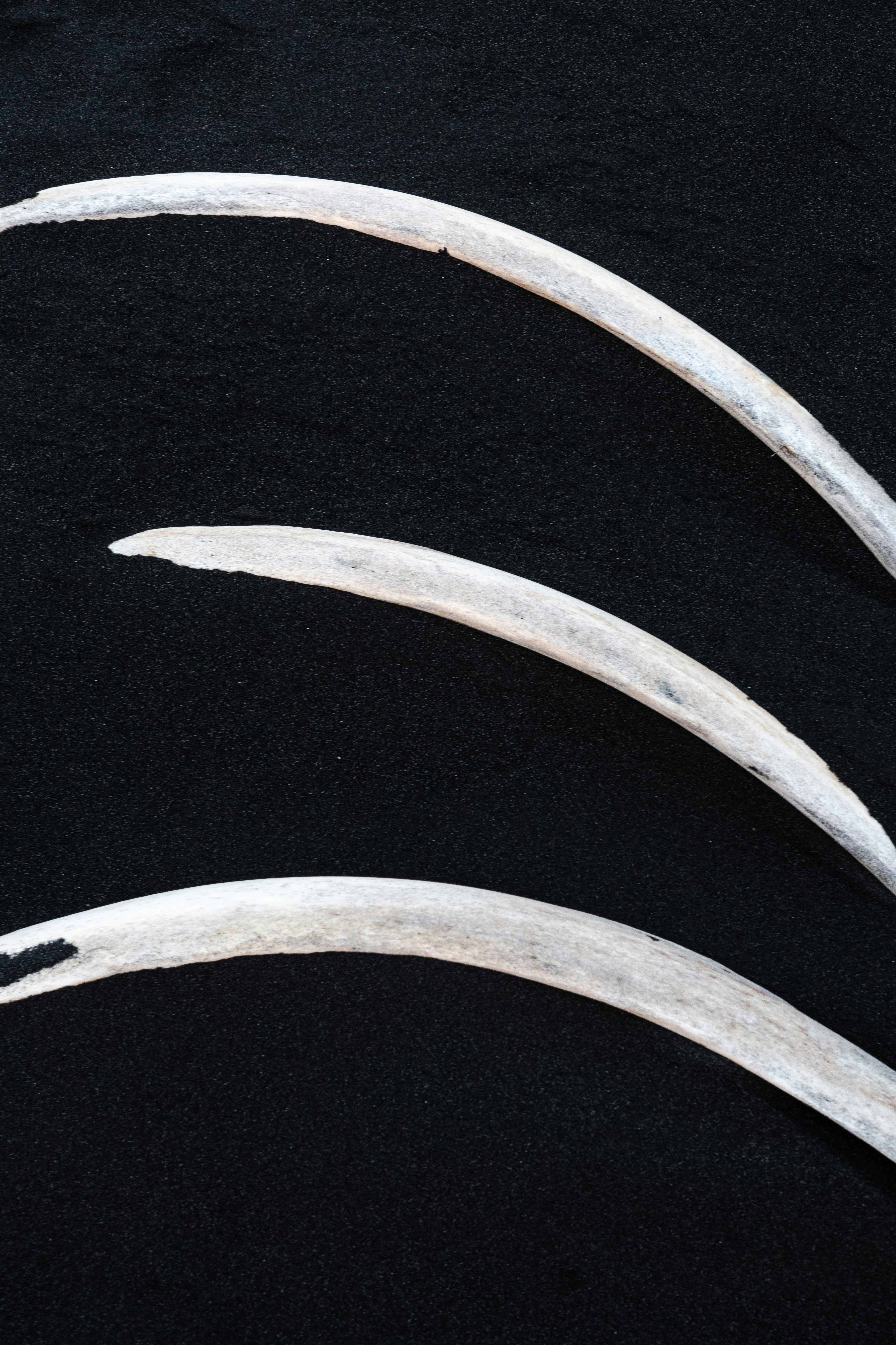 Curved White Ribbons Across Midnight Canvas