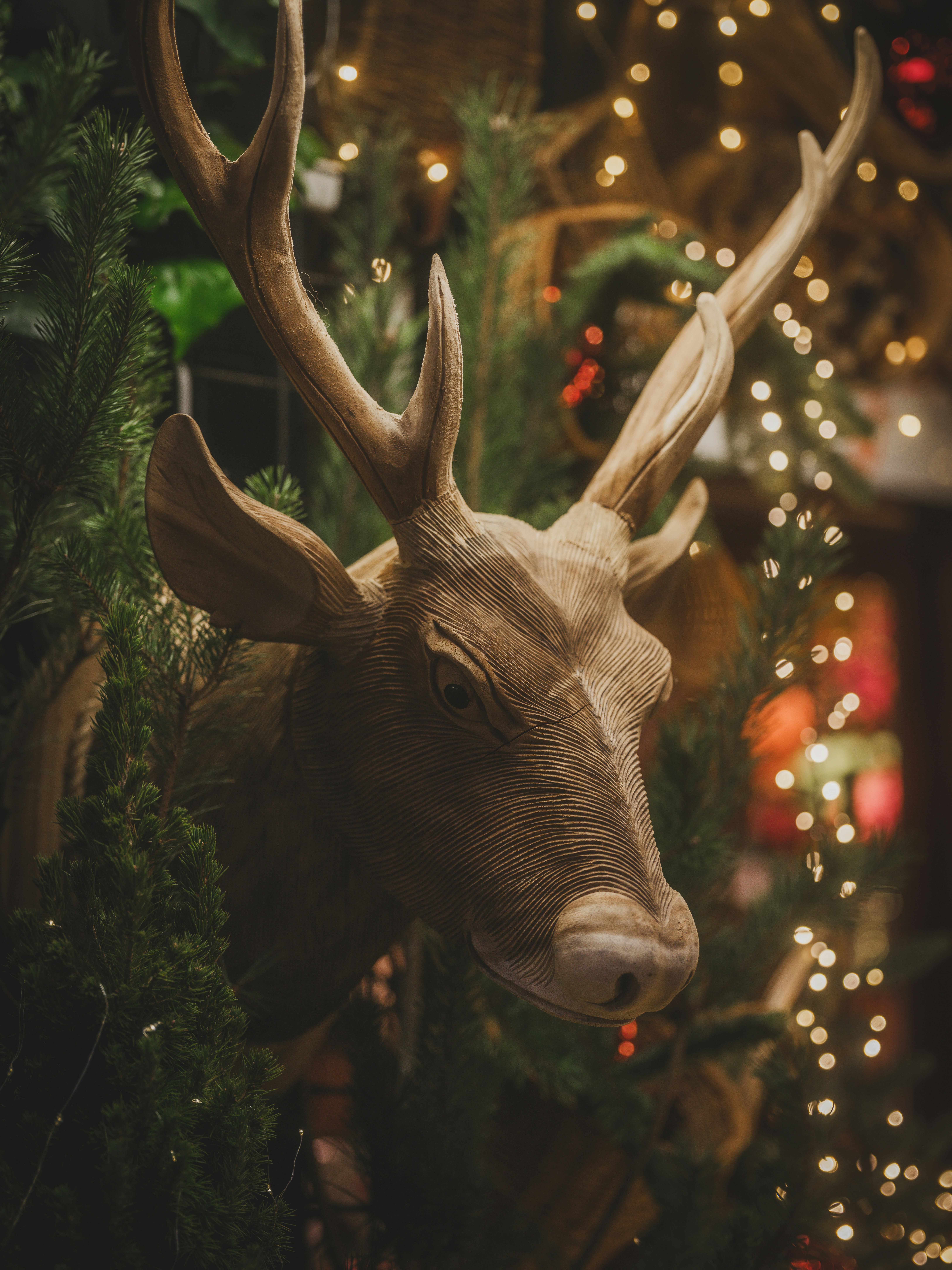 Christmas Decorations Reindeer