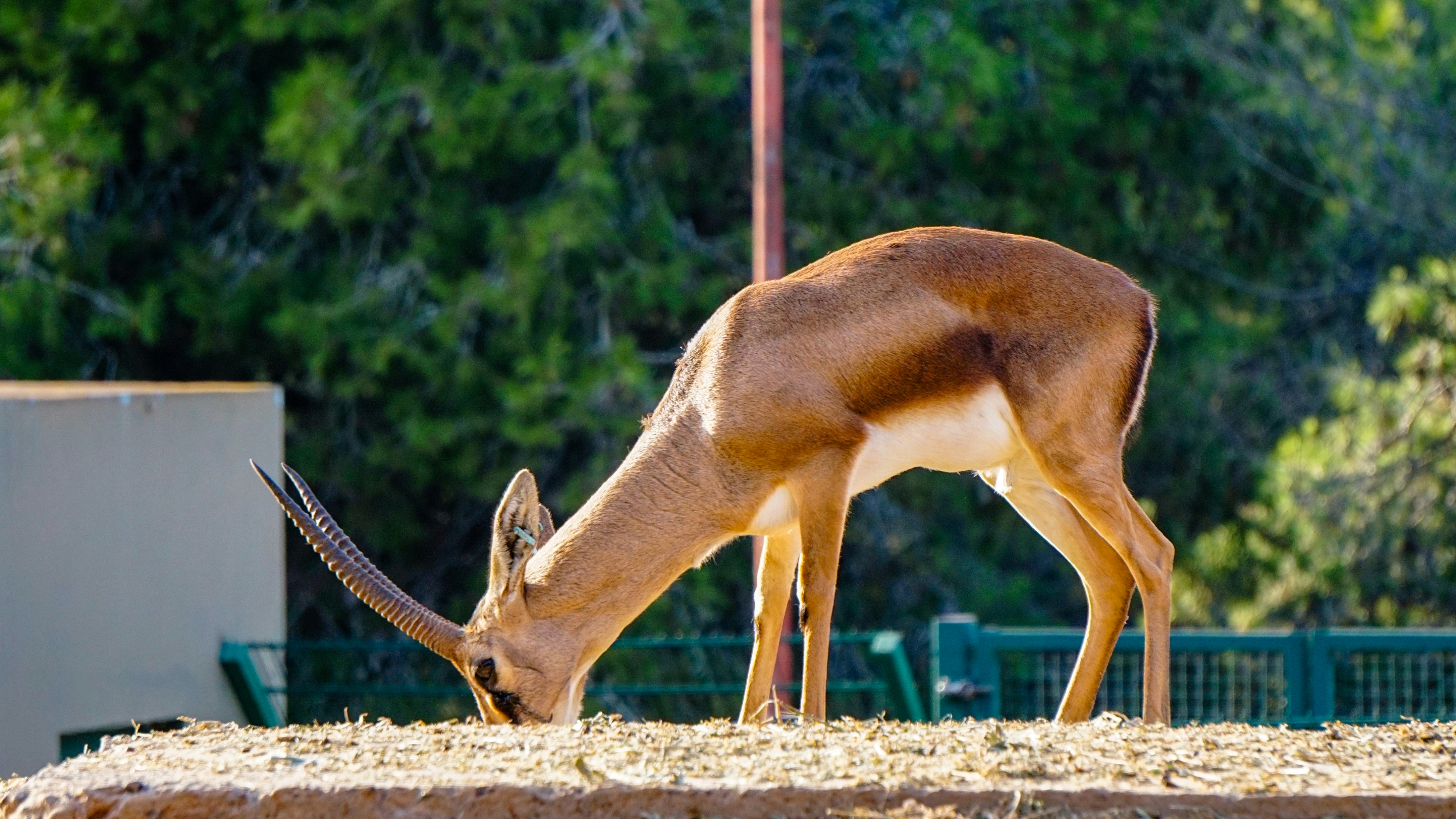 Photo by Mohamed Abira with Sony Alpha 6000