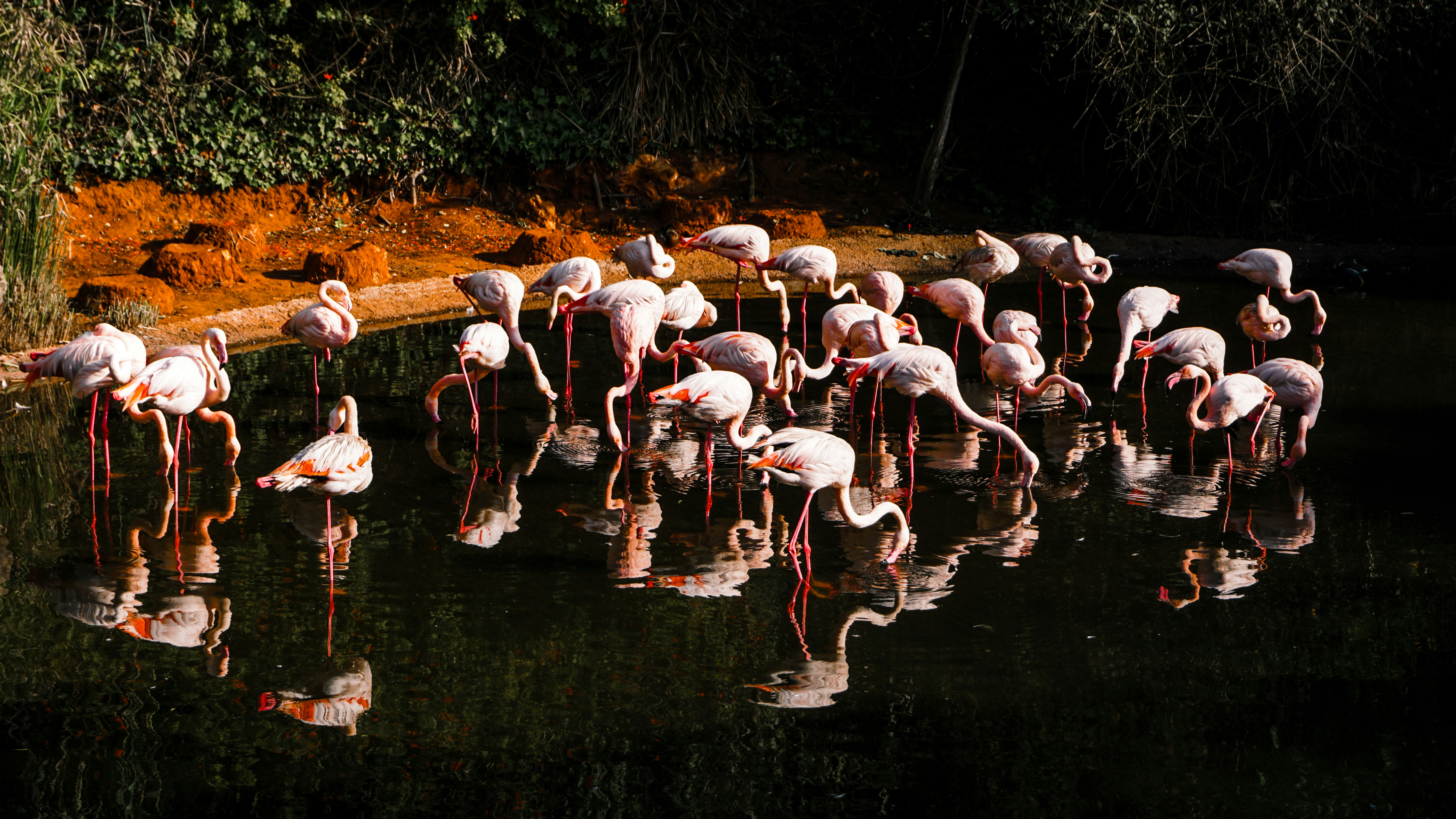 Photo by Mohamed Abira with Sony Alpha 6000