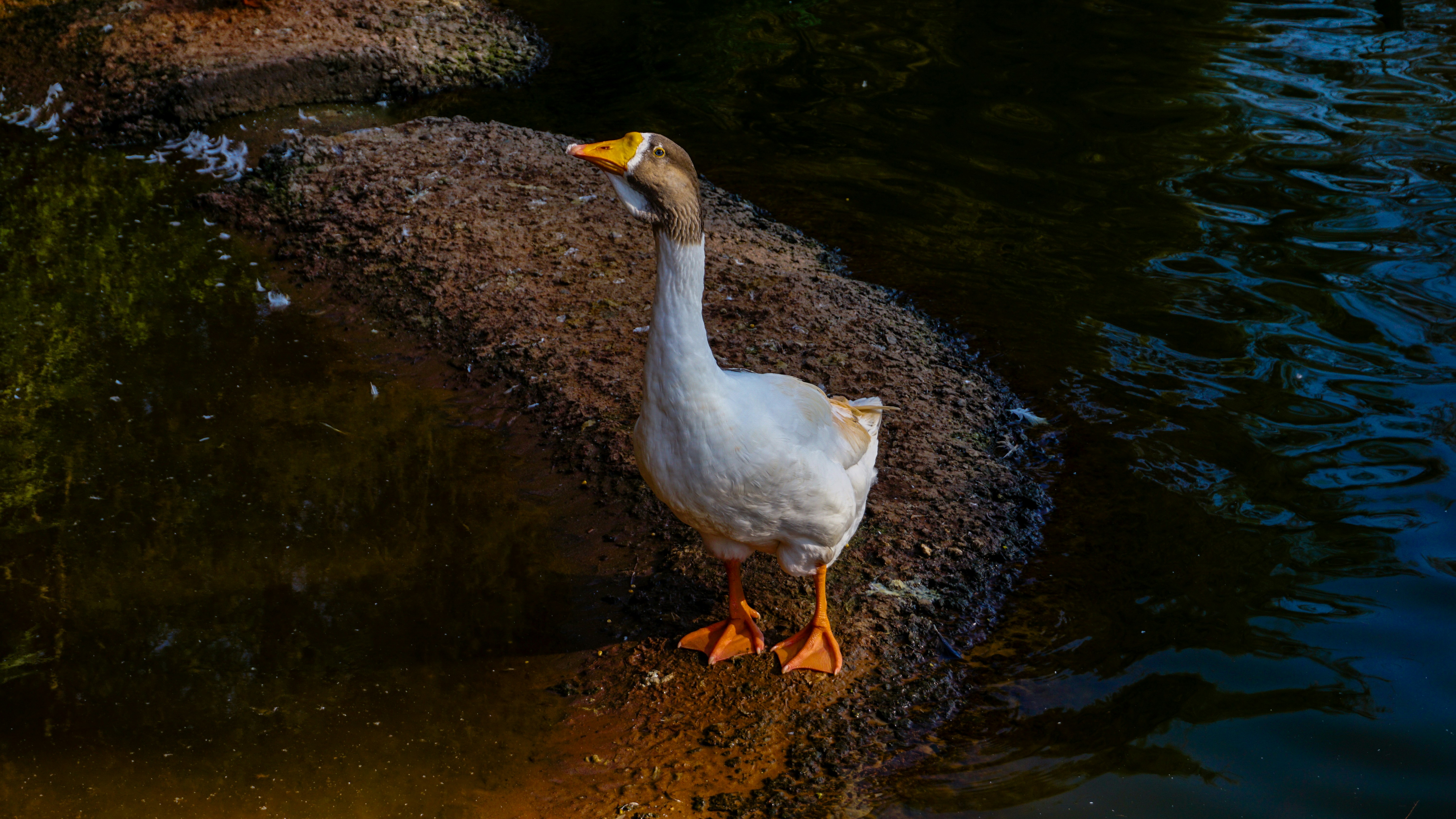 Photo by Mohamed Abira with Sony Alpha 6000