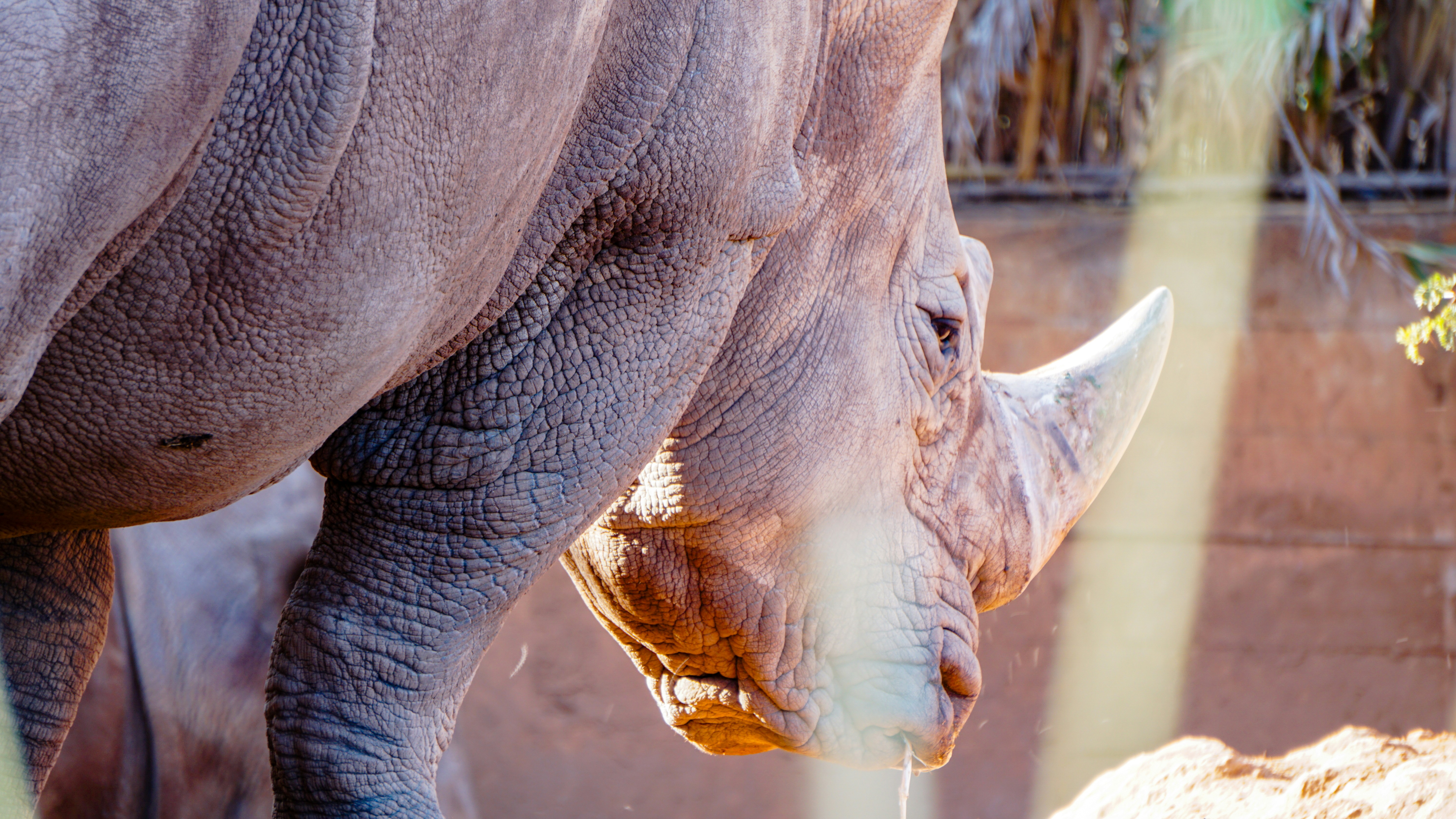 Photo by Mohamed Abira with Sony Alpha 6000