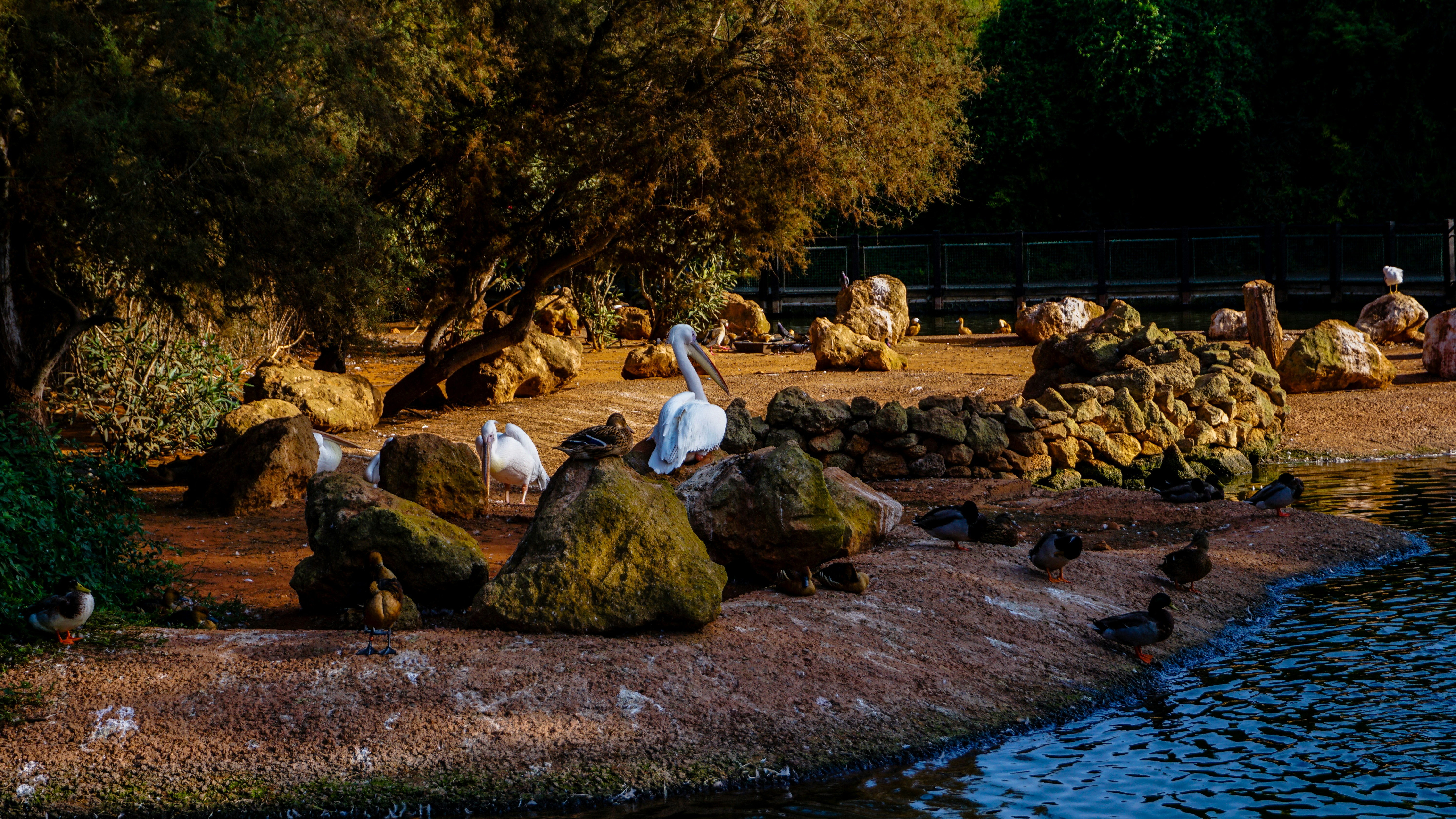 Photo by Mohamed Abira with Sony Alpha 6000