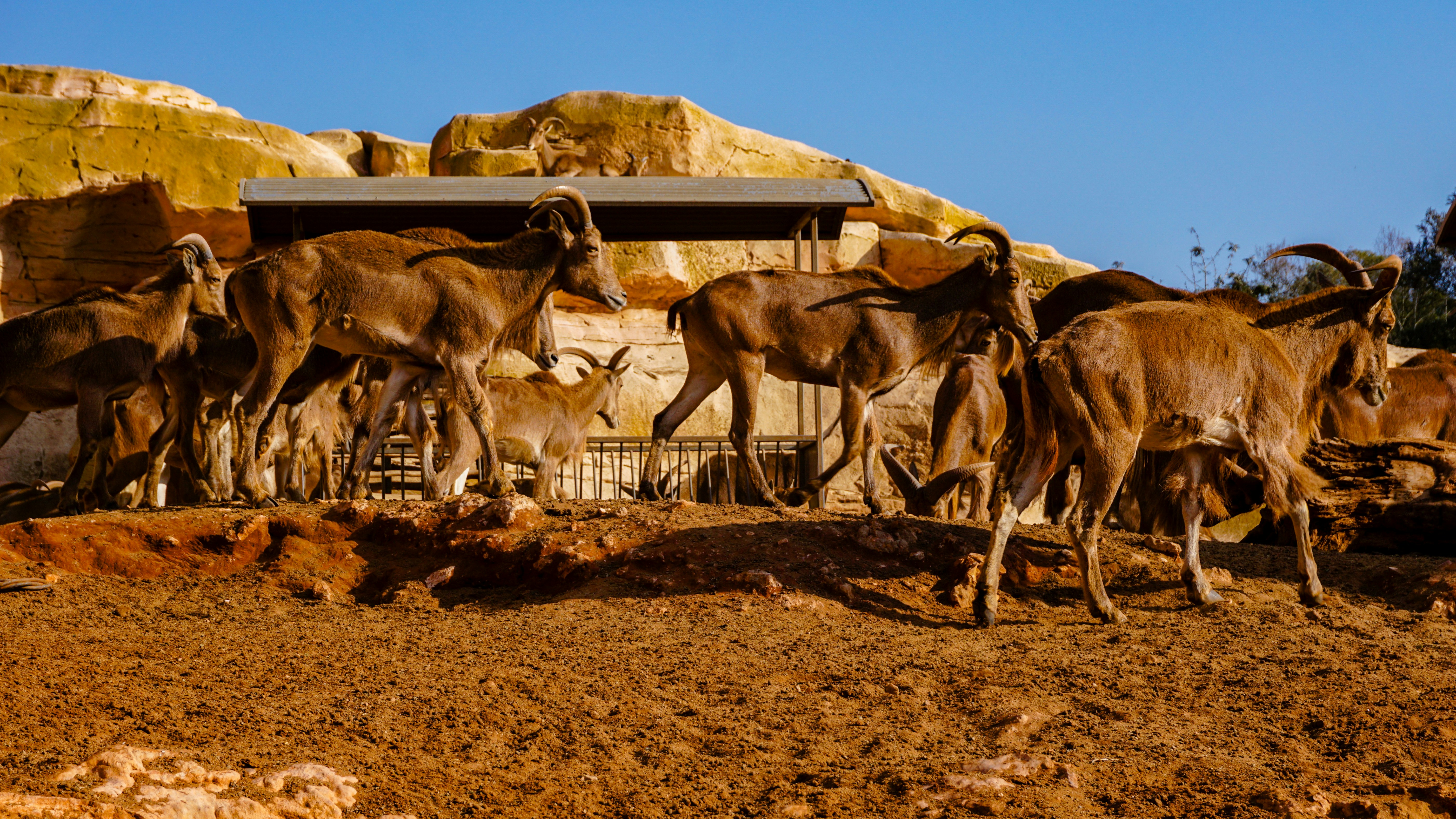 Photo by Mohamed Abira with Sony Alpha 6000