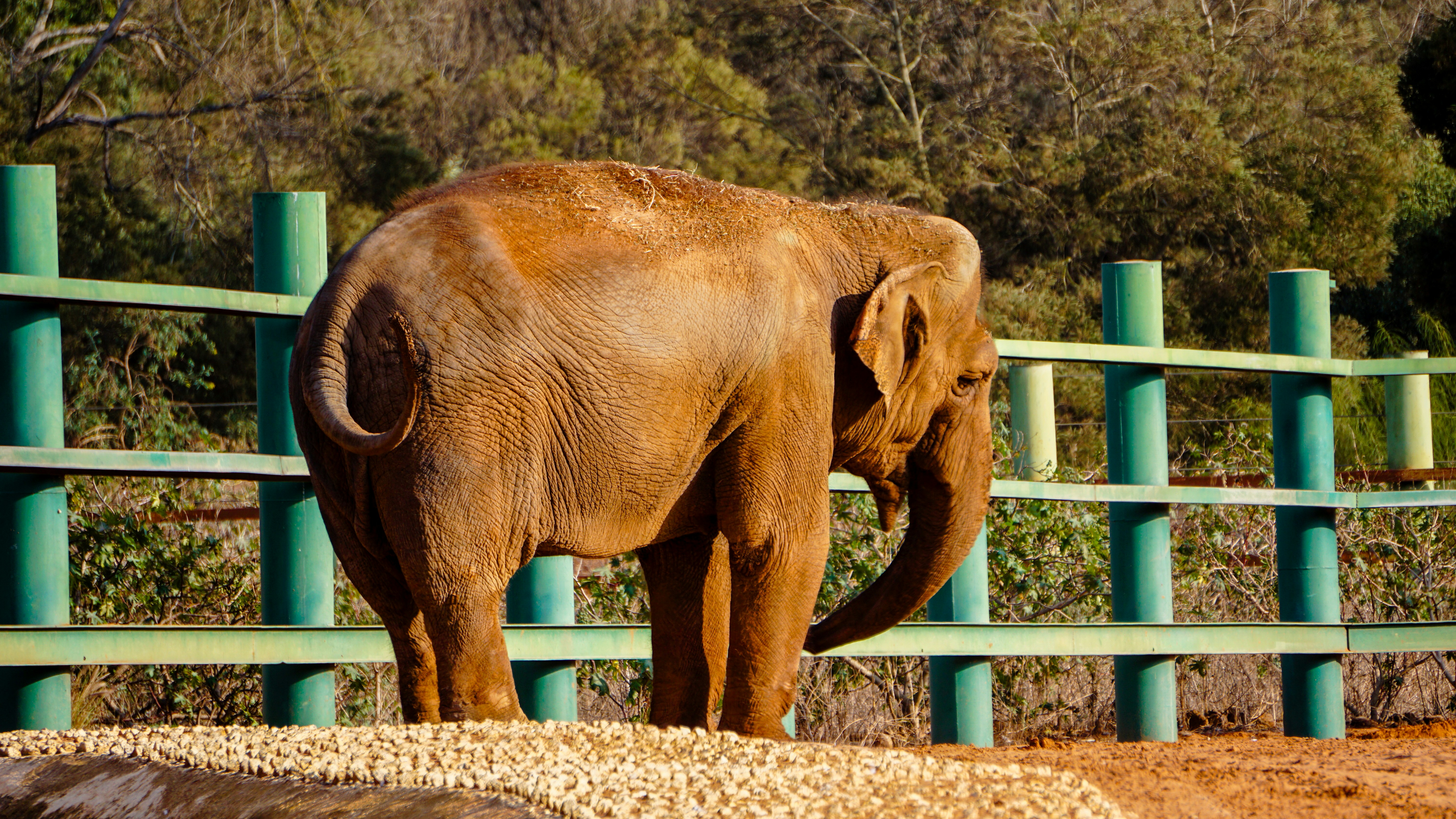 Photo by Mohamed Abira with Sony Alpha 6000