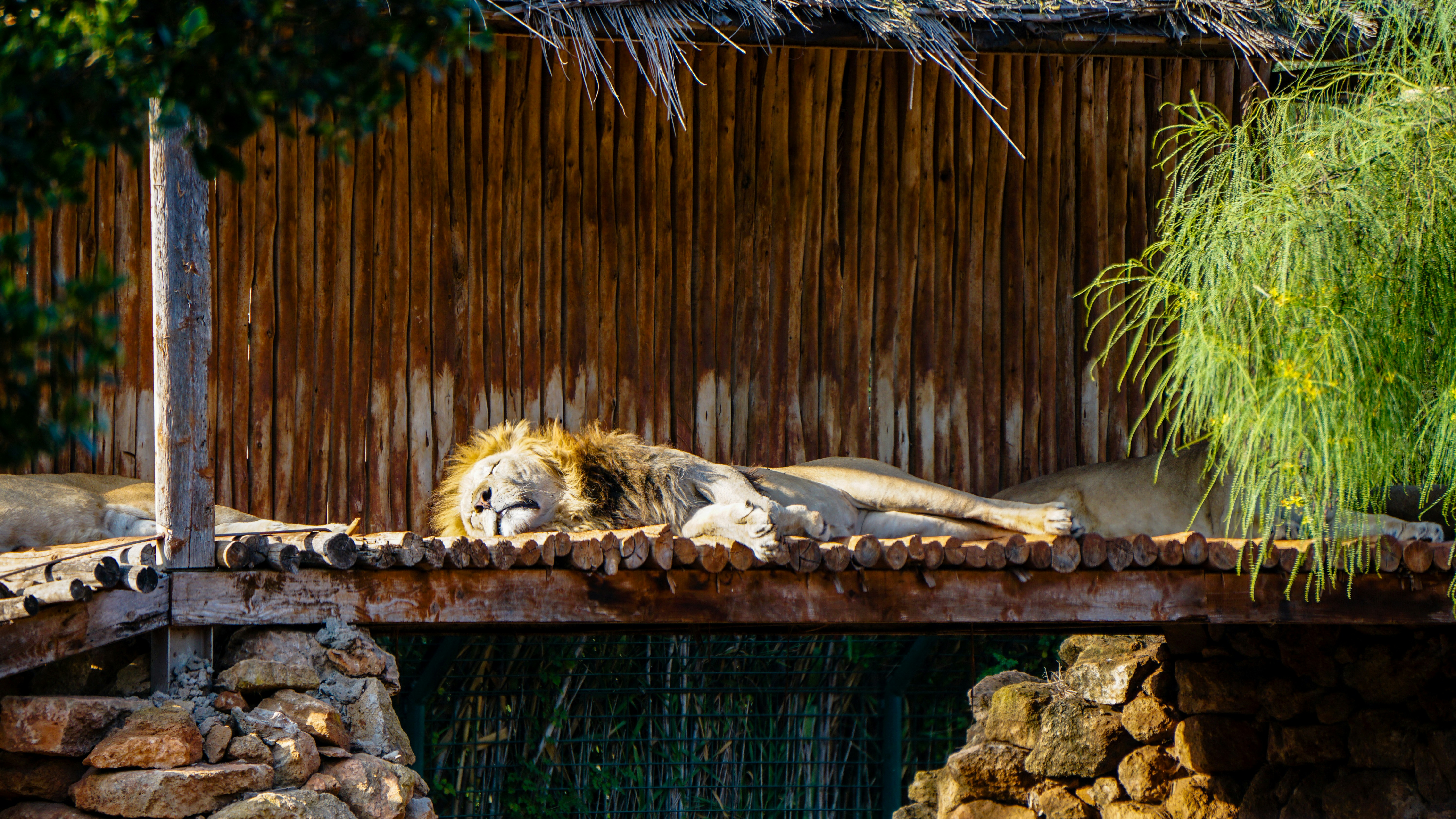 Photo by Mohamed Abira with Sony Alpha 6000