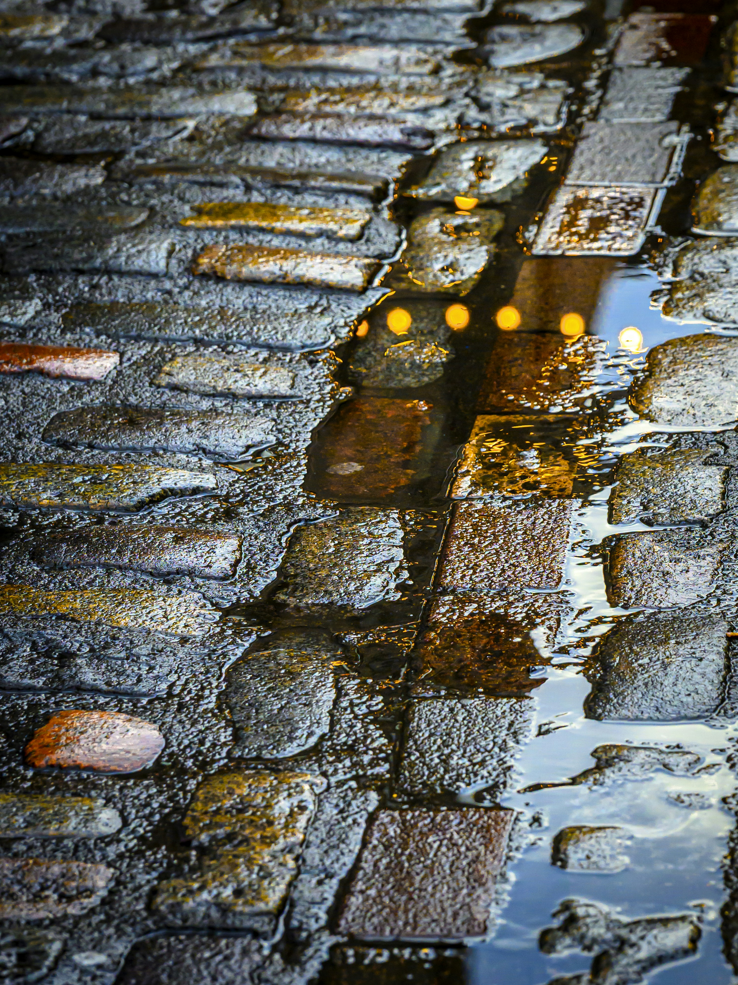 Puddled Cobblestones Reflecting Evening Neon