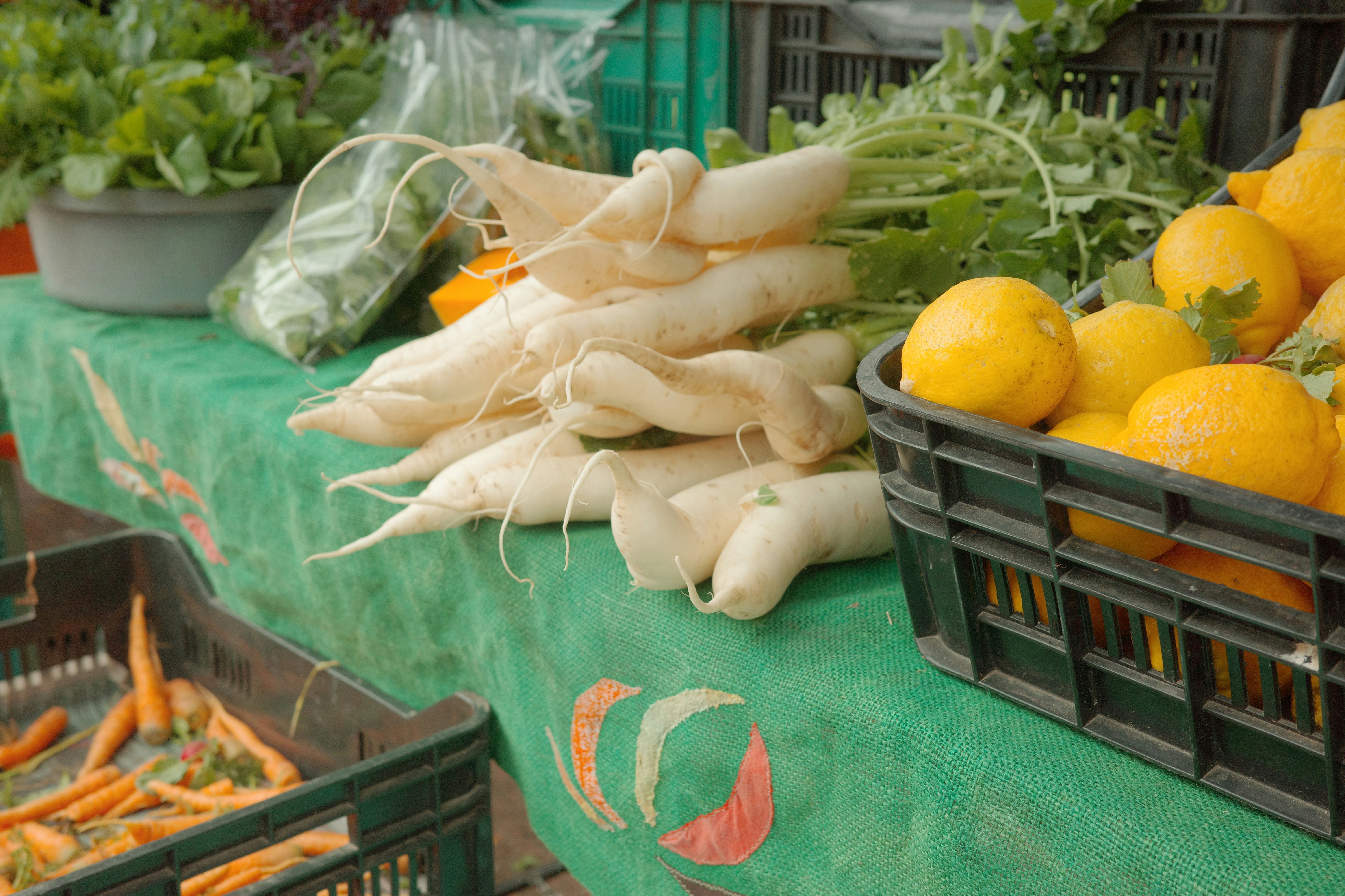 Rooted Harvest: White radishes and citrus at a bustling market stall