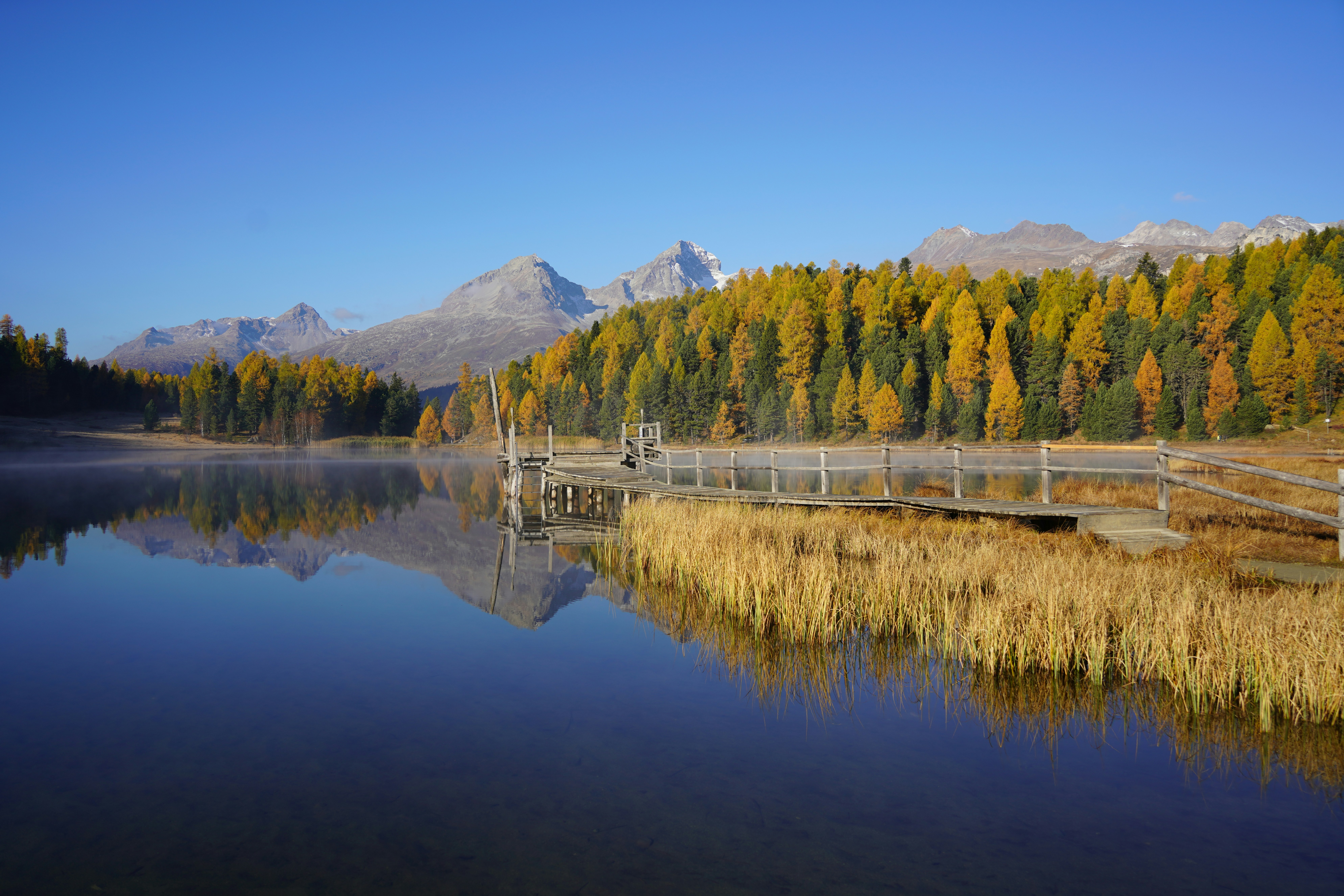 Autumn Ripples: A Quiet Lake framed by golden Pines