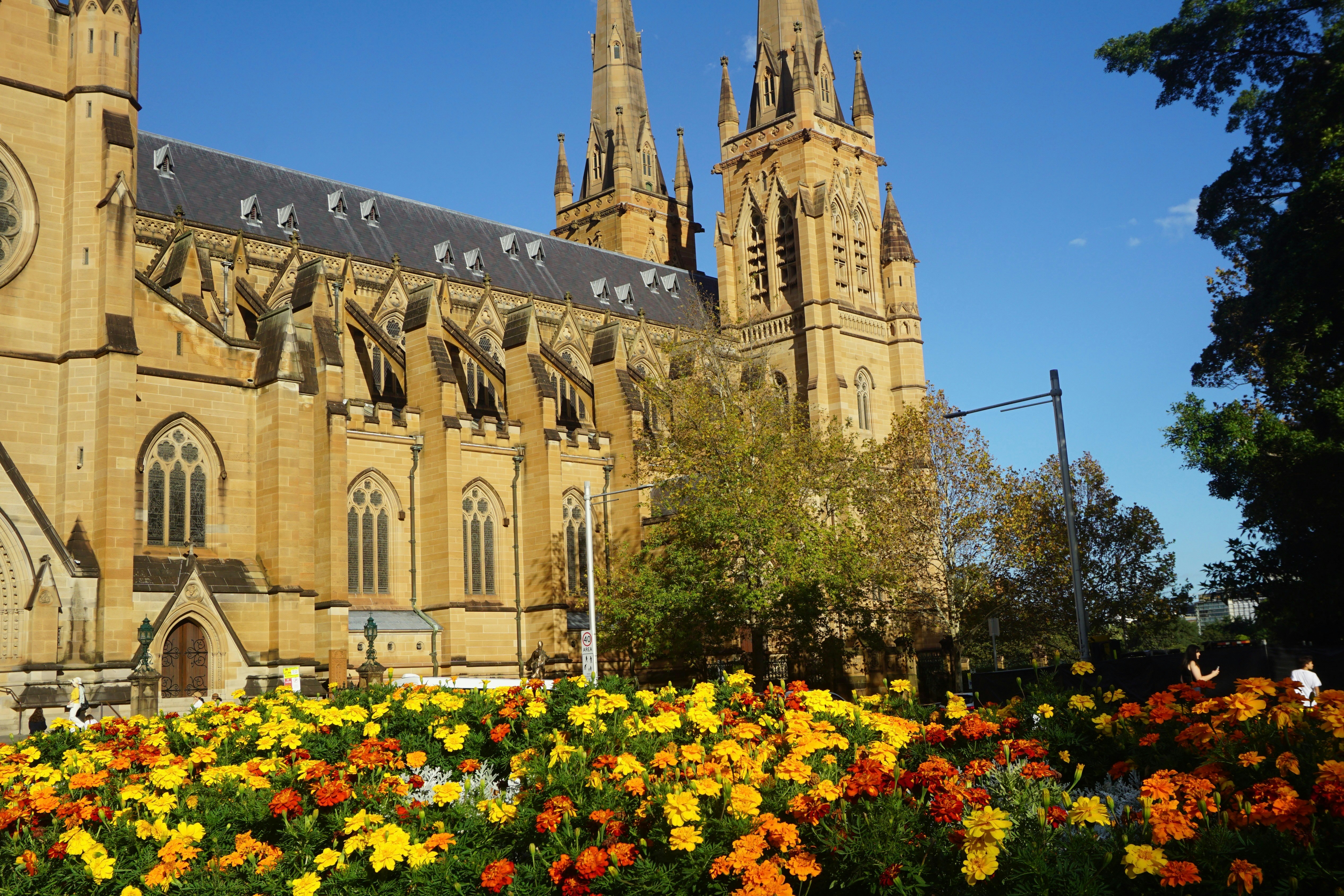 Photo by Sarang LEE with Sony Alpha 5100