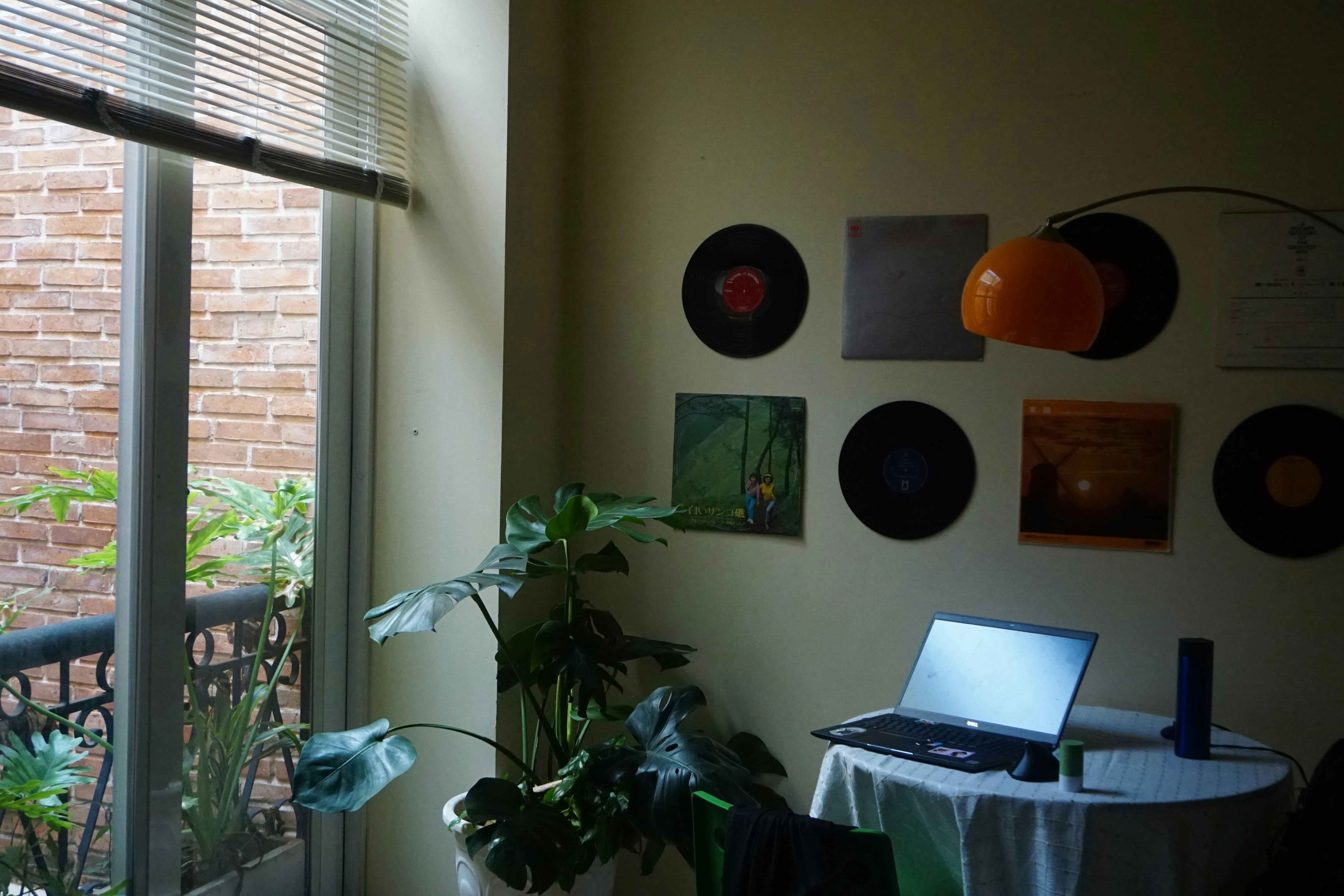 Vinyl Walls and Morning Light in a Cozy Studio
