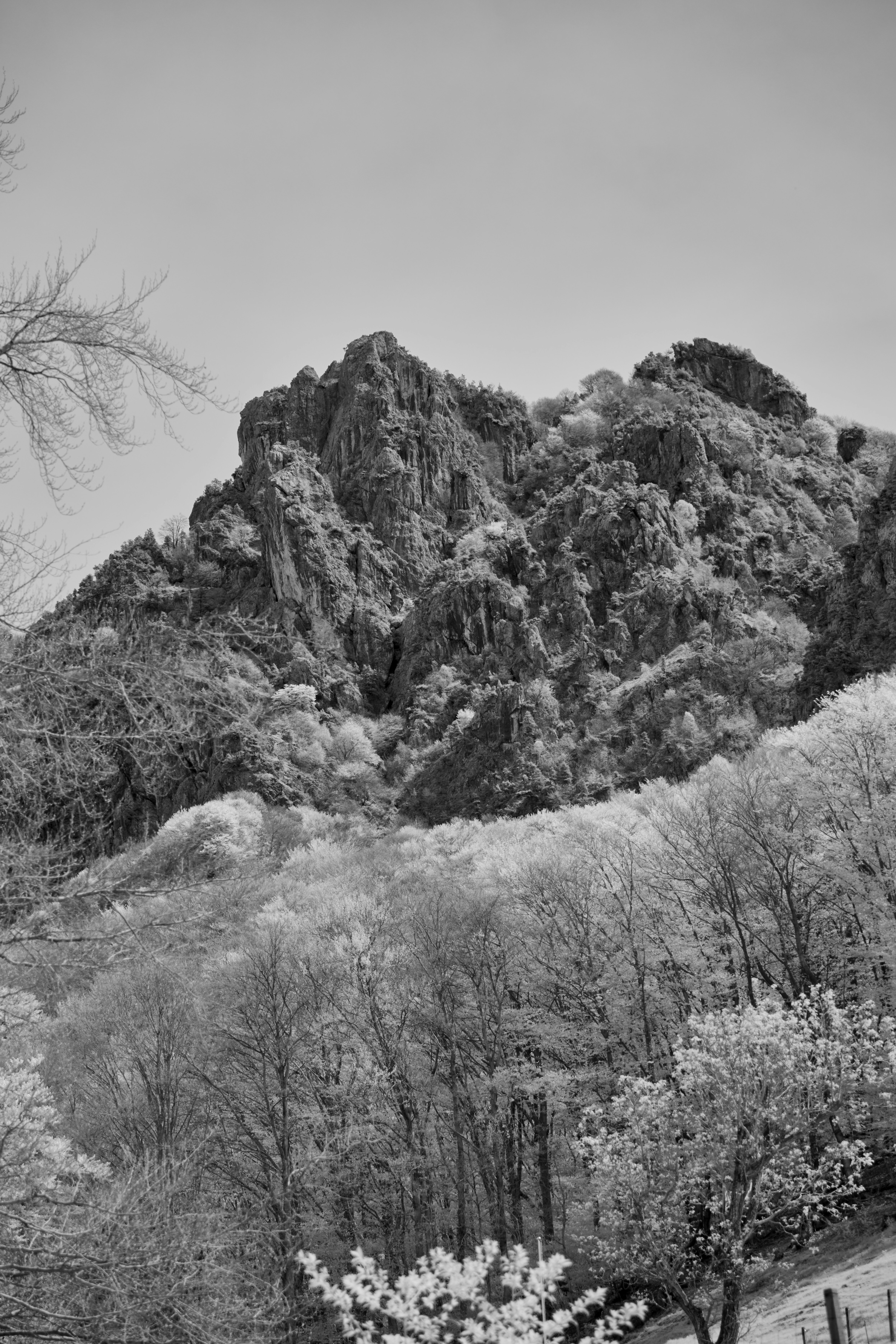 Rugged Peak Emerges from Misty Forest Baseline