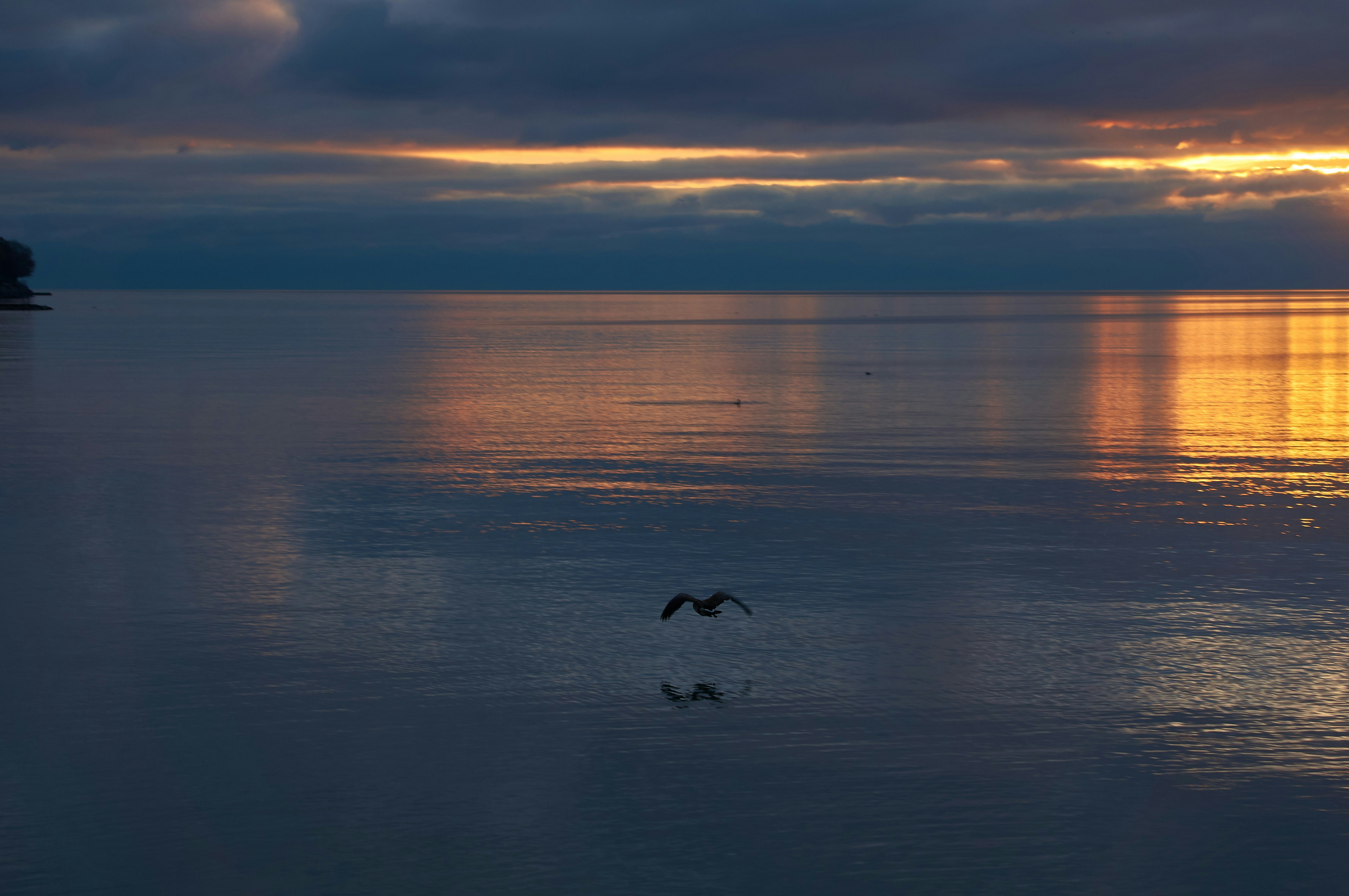 Photo by Wolfgang Hasselmann with Sony Alpha NEX-6