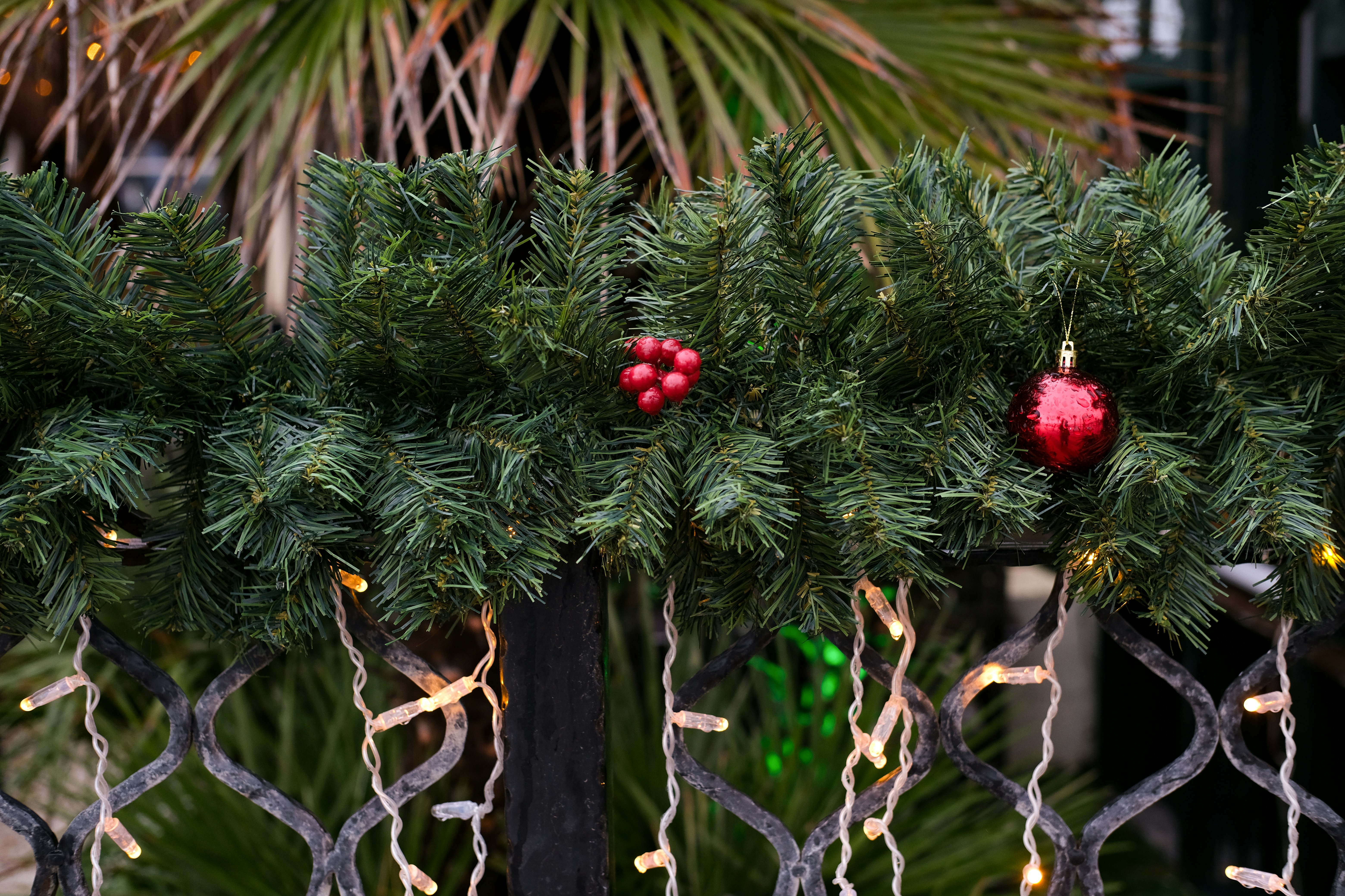 Red Orbs and Warm Lights Guarded by Needle Greenery