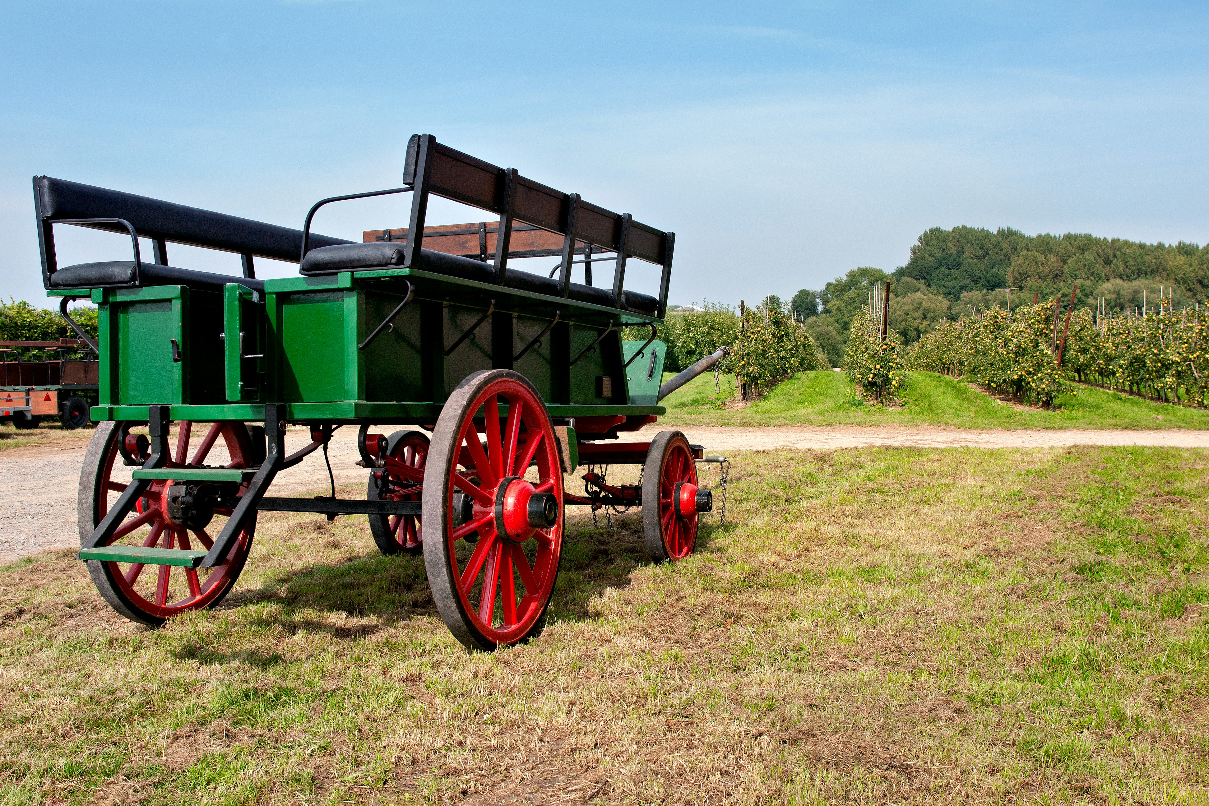 Vintage green and red wagon parked in an apple orchard under a clear blue sky, hinting at a bountiful harvest. A charming rural scene perfect for agriculture, nature, and autumn themes.
