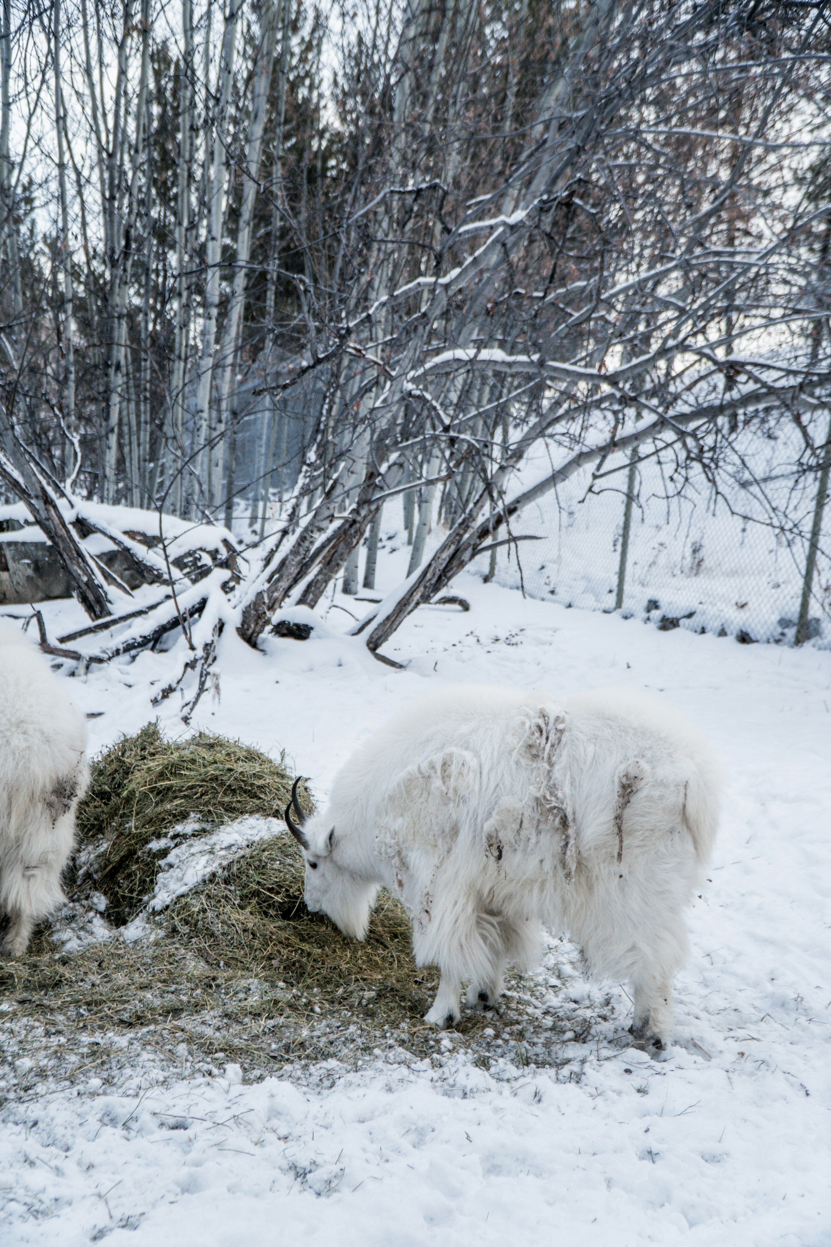 Photo by Chewool Kim with Sony Alpha 6400