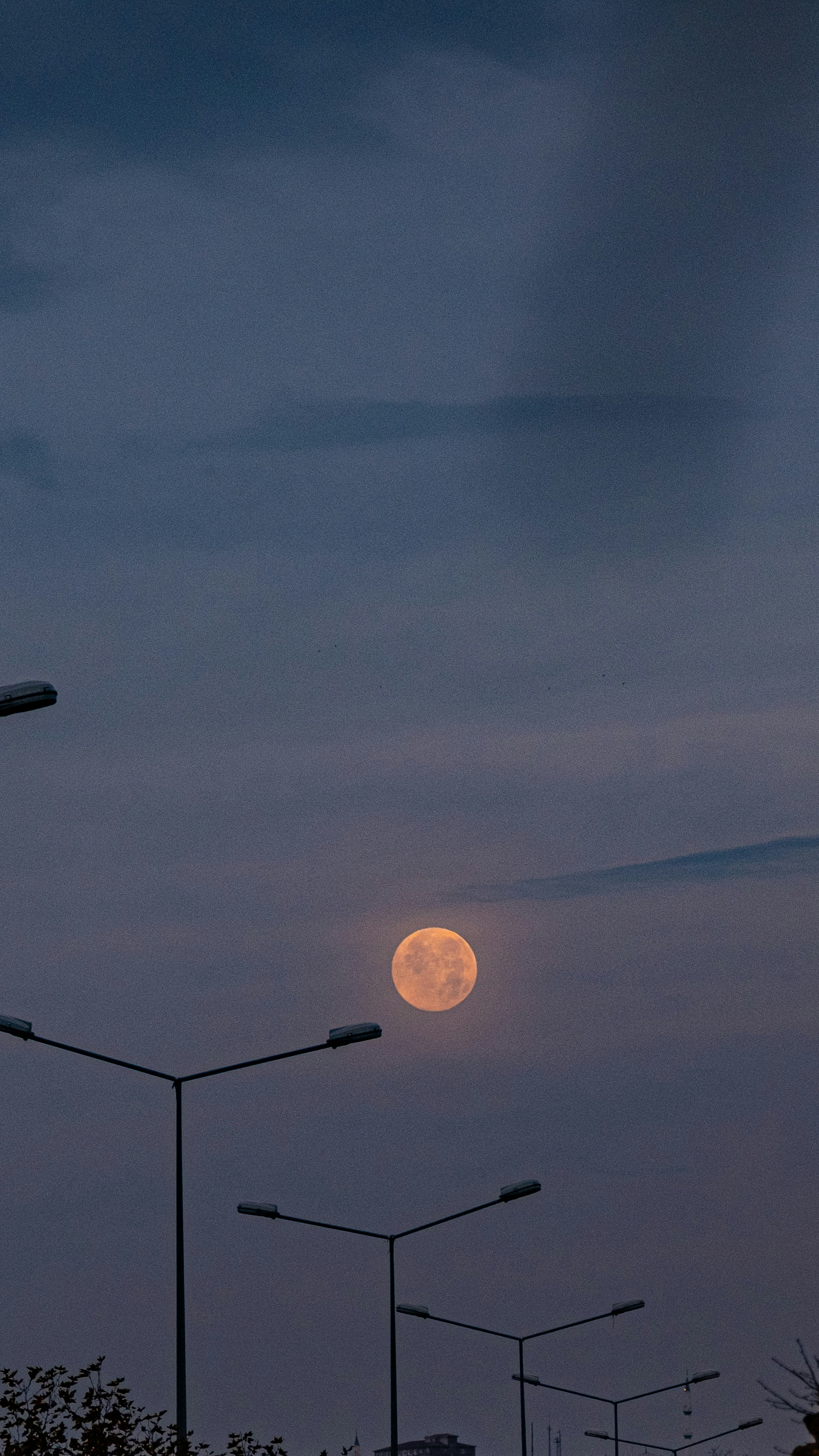 Lunar Lamps: Streetlights Align Beneath a Moonlit Evening