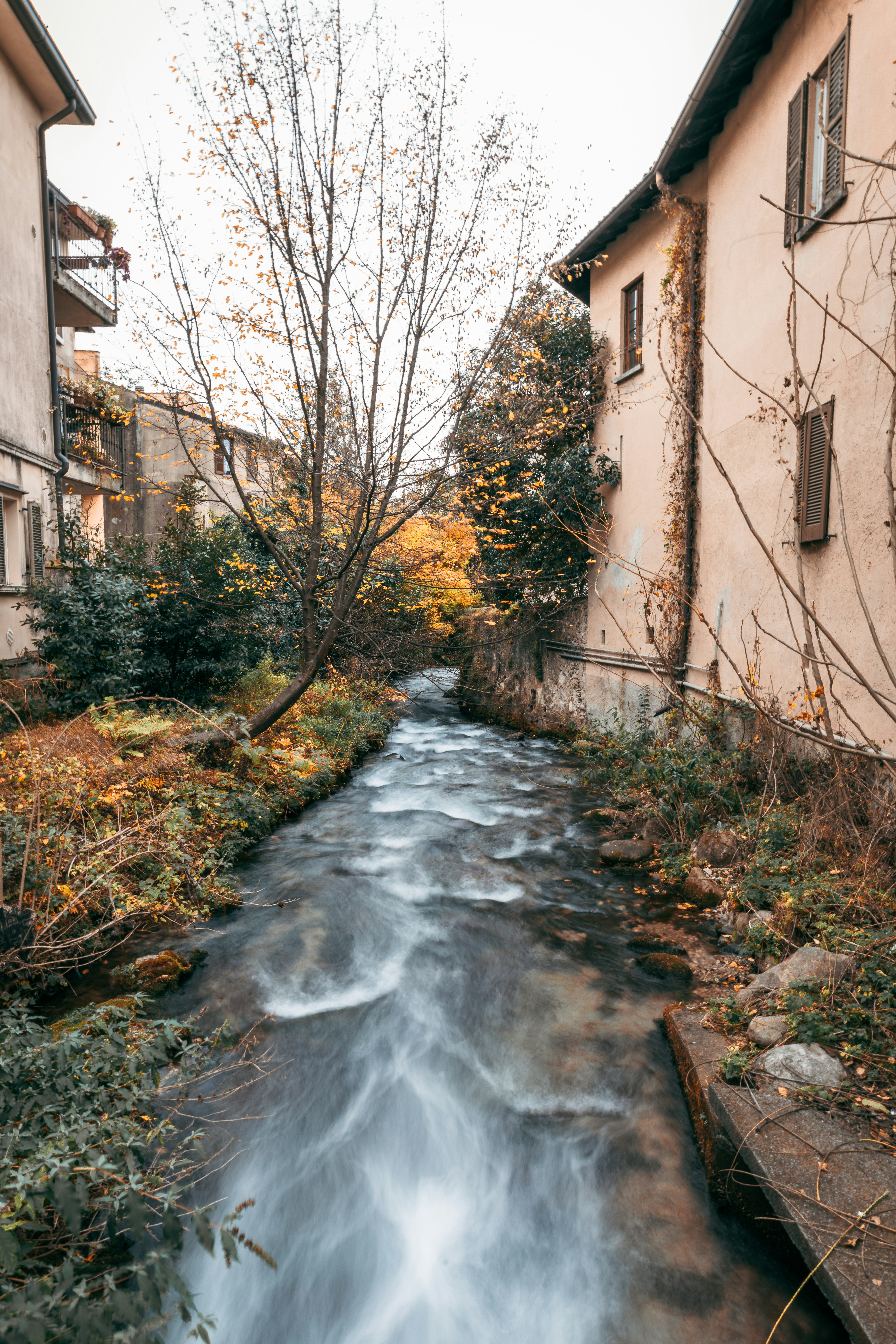 Autumn Creek Between Quiet Apartments