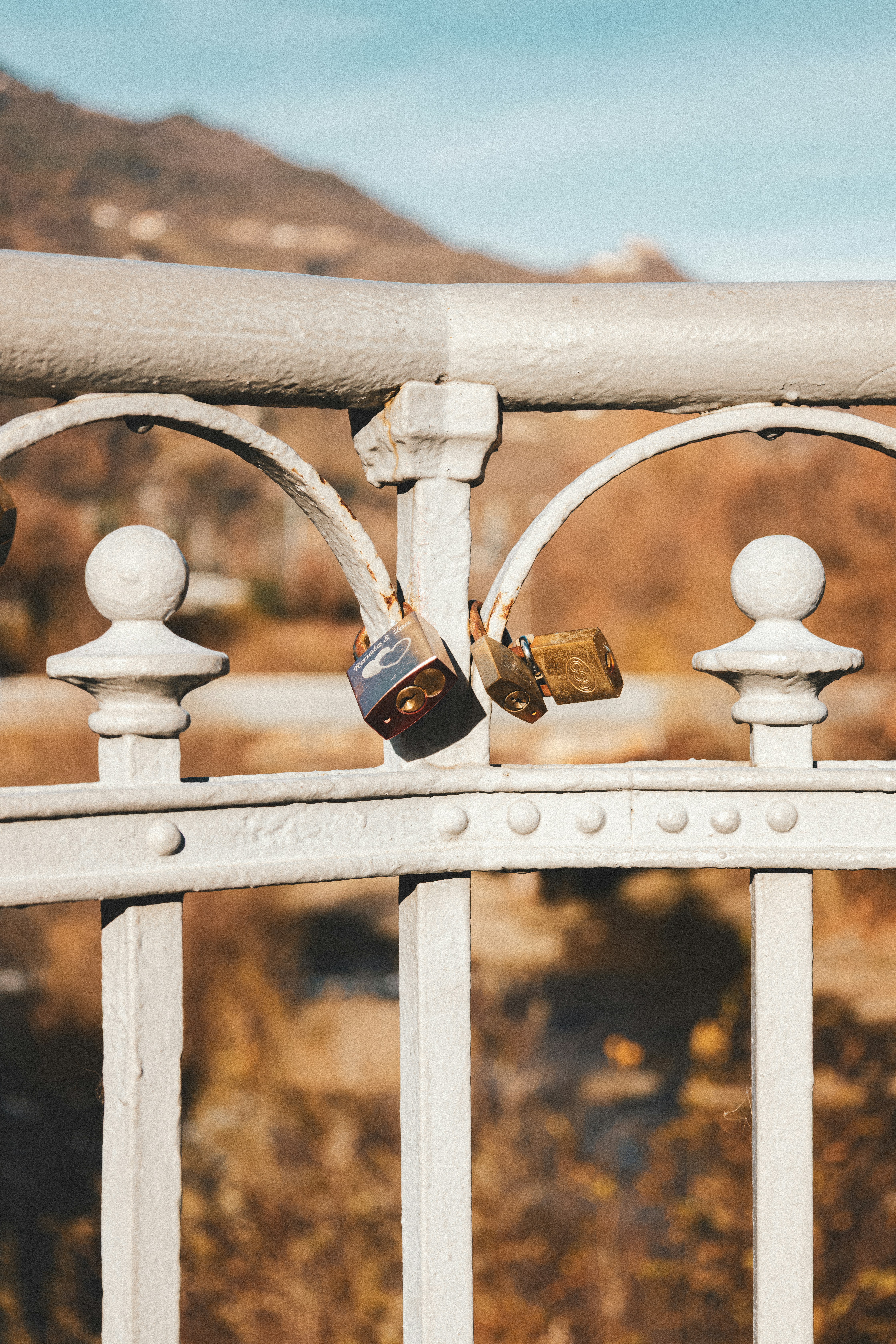 Padlocks on a weathered railing: a quiet vow on a sunlit bridge