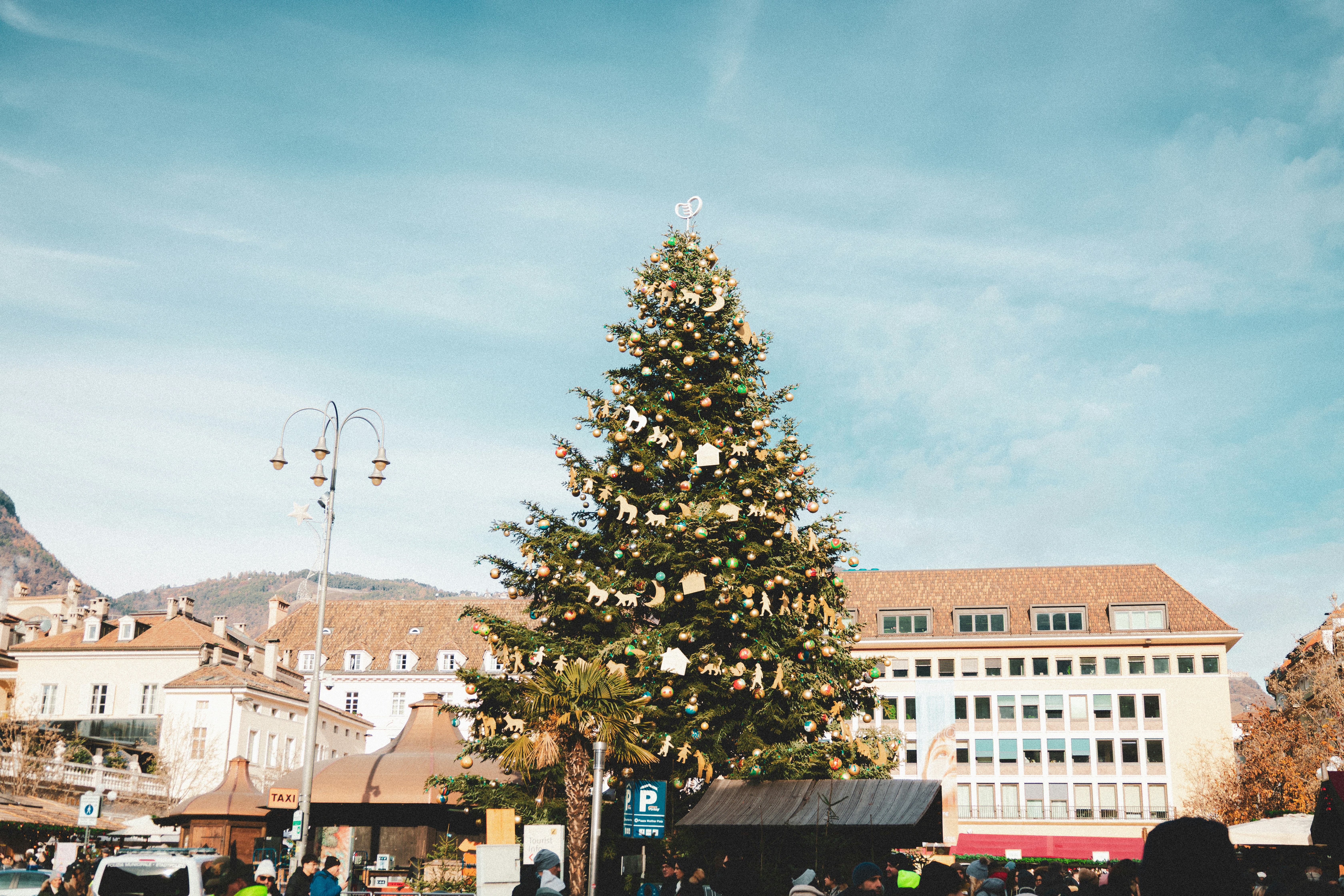 Town Square Christmas Tree Under a Clear Winter Sky