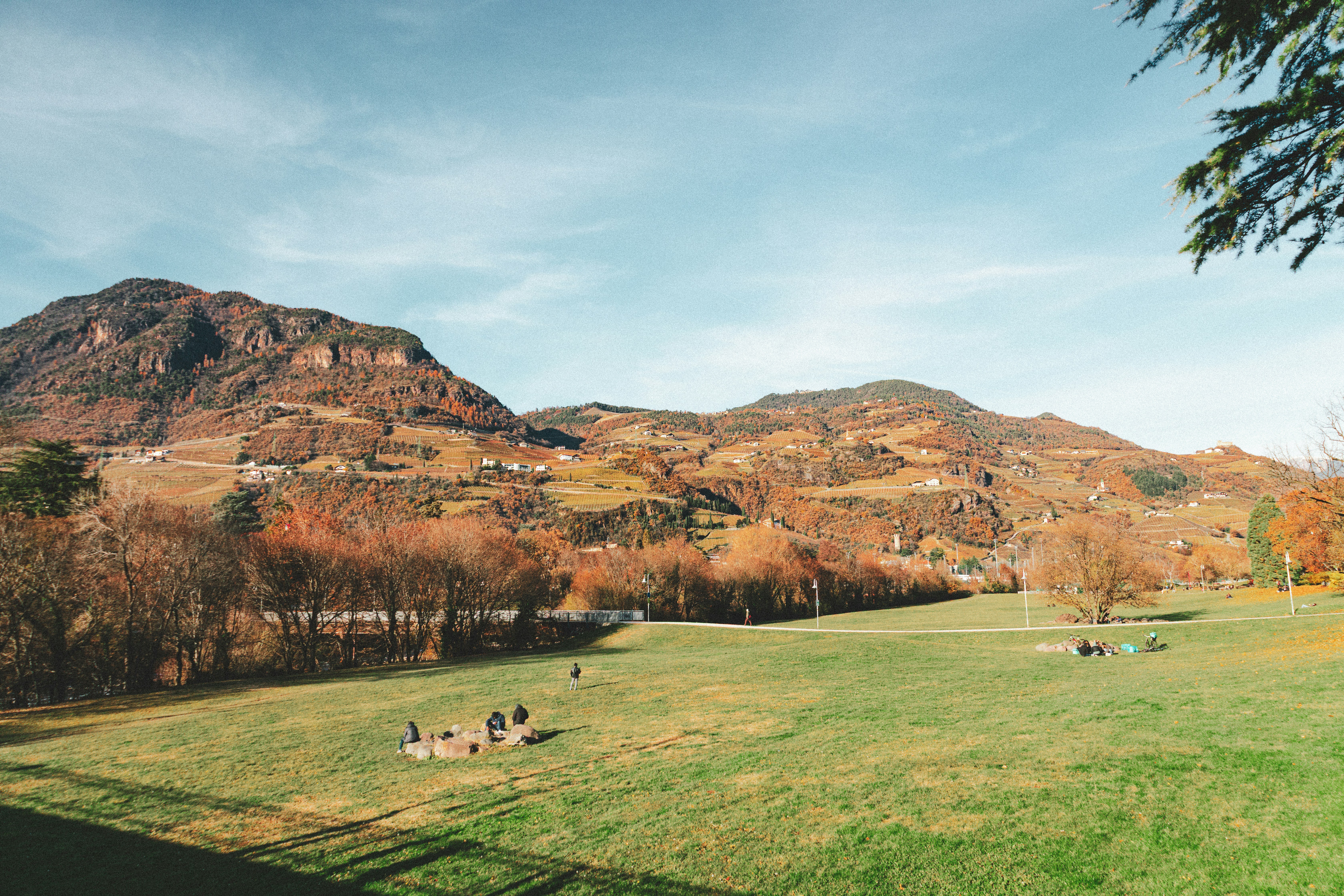 Photo by Aaryan Kohli with Canon EOS R