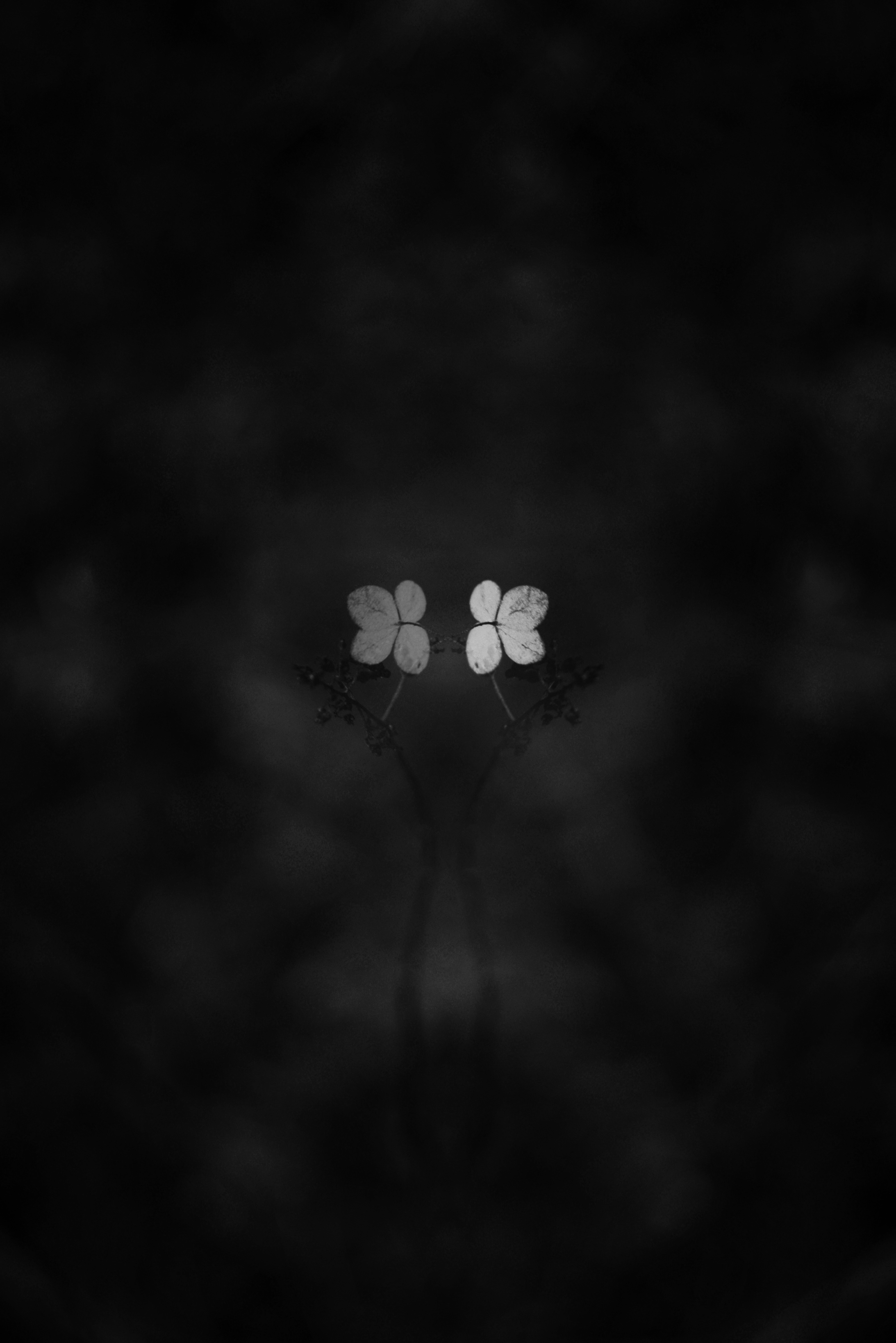 Photo by Liana S with Nikon D600