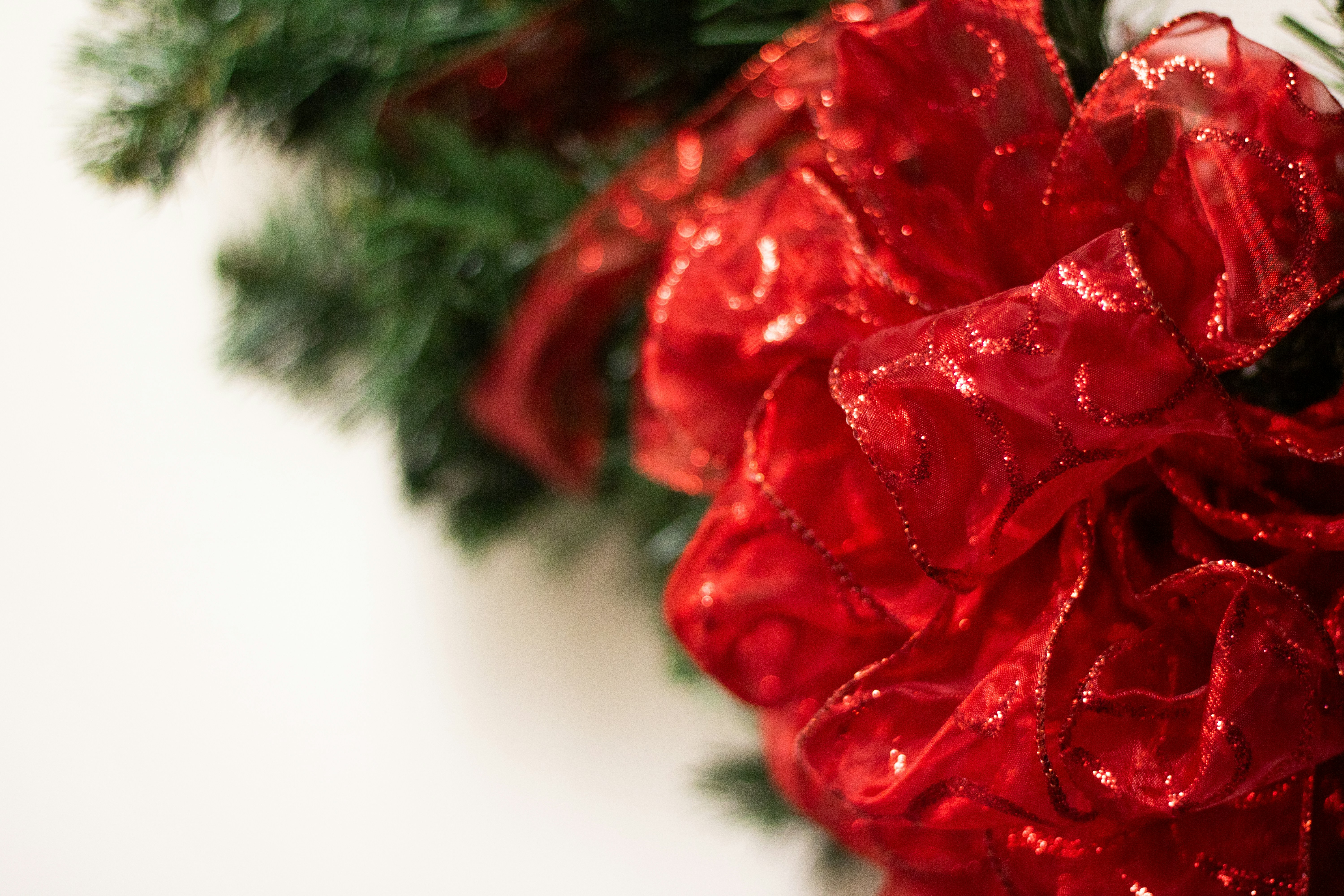 Photo by Family Life with Canon EOS 750D