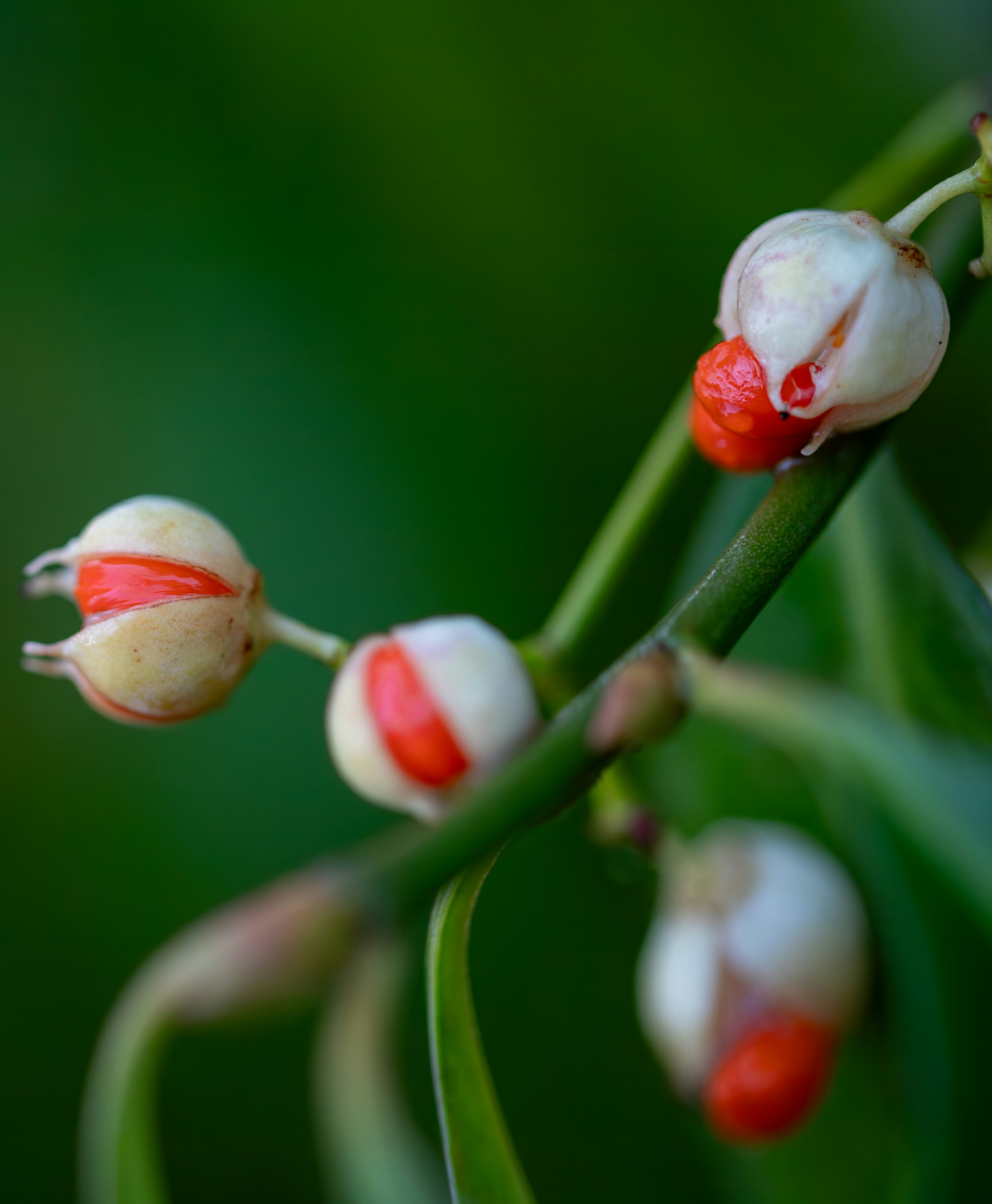 Photo by Bernd 📷 Dittrich with Canon EOS 6D Mark II